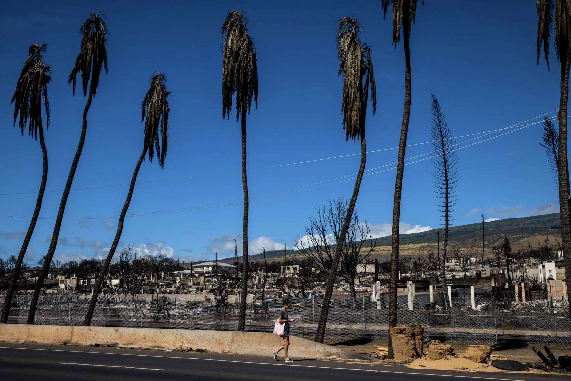 Maui fires: Nearly half of search area covered, death toll sits at 111