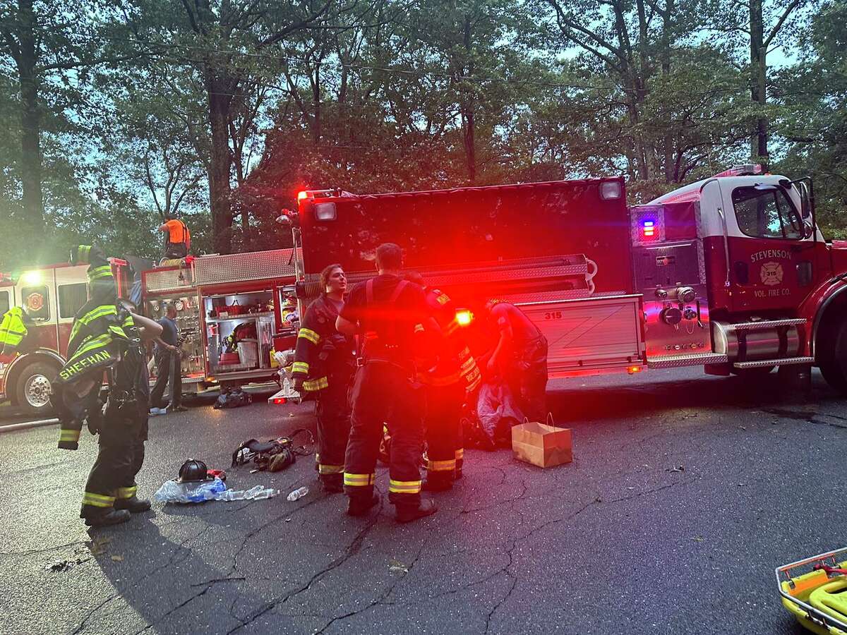 House fire kills cat, destroys cars, Monroe officials say House fire kills cat, destroys cars, Monroe officials say