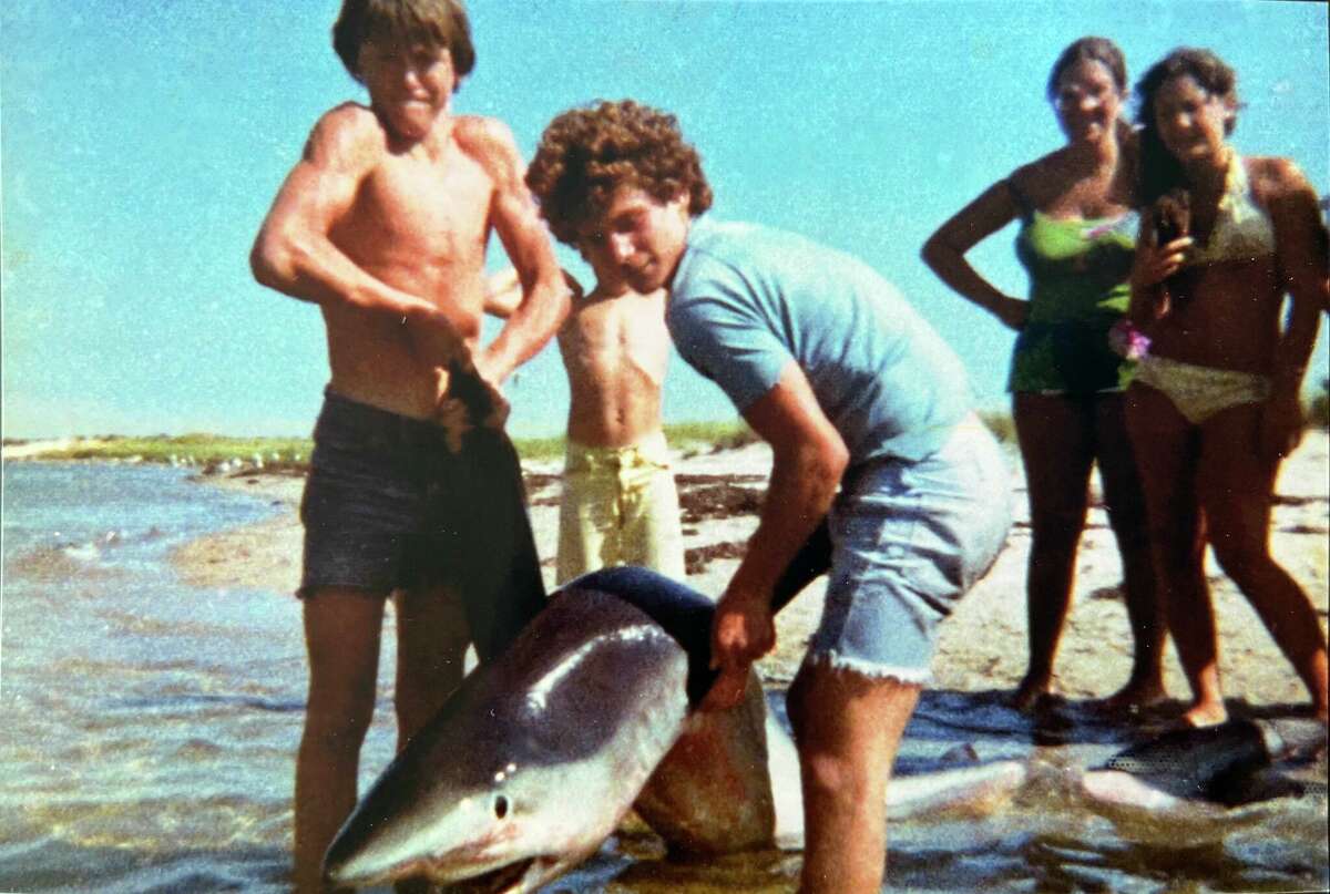 Why sharks are vital to CT's and New England's marine ecosystems