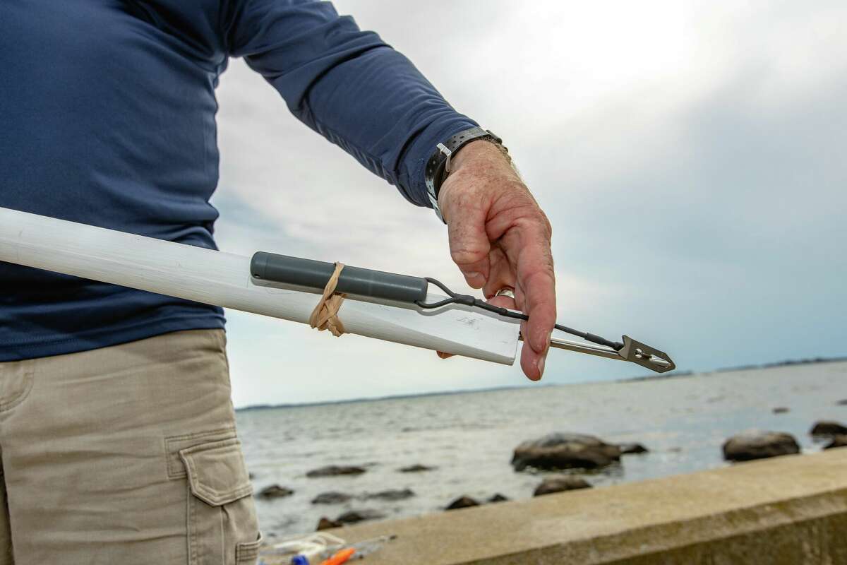 Why sharks are vital to CT's and New England's marine ecosystems