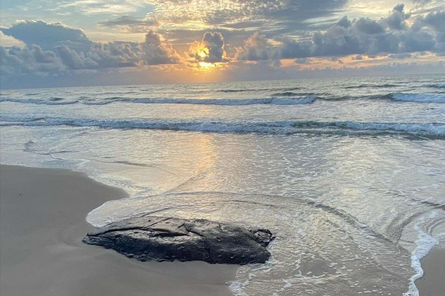 Padre Island National Seashore keeps finding tar patties on beach