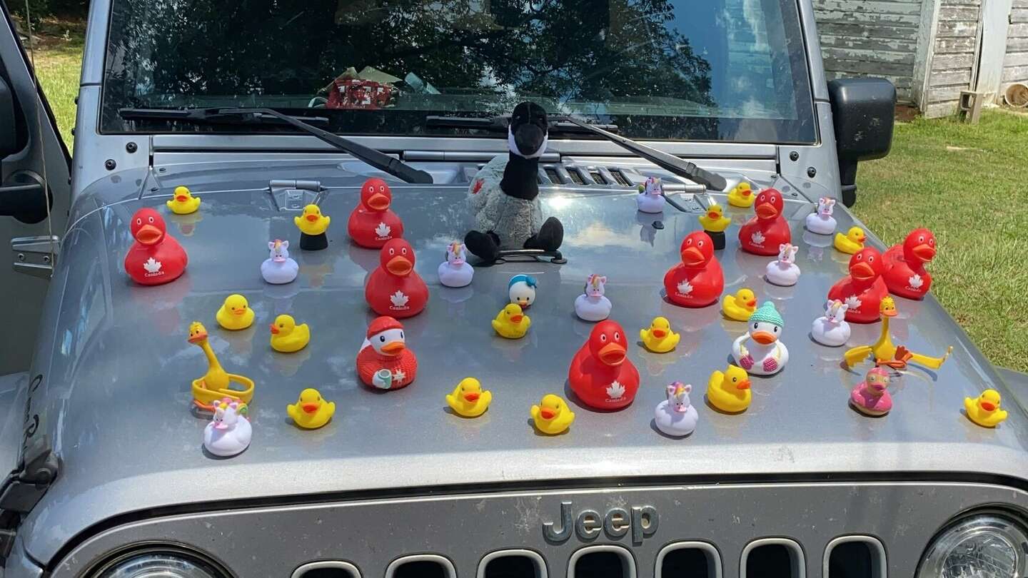 Jeep ducks: The story behind the wholesome viral trend