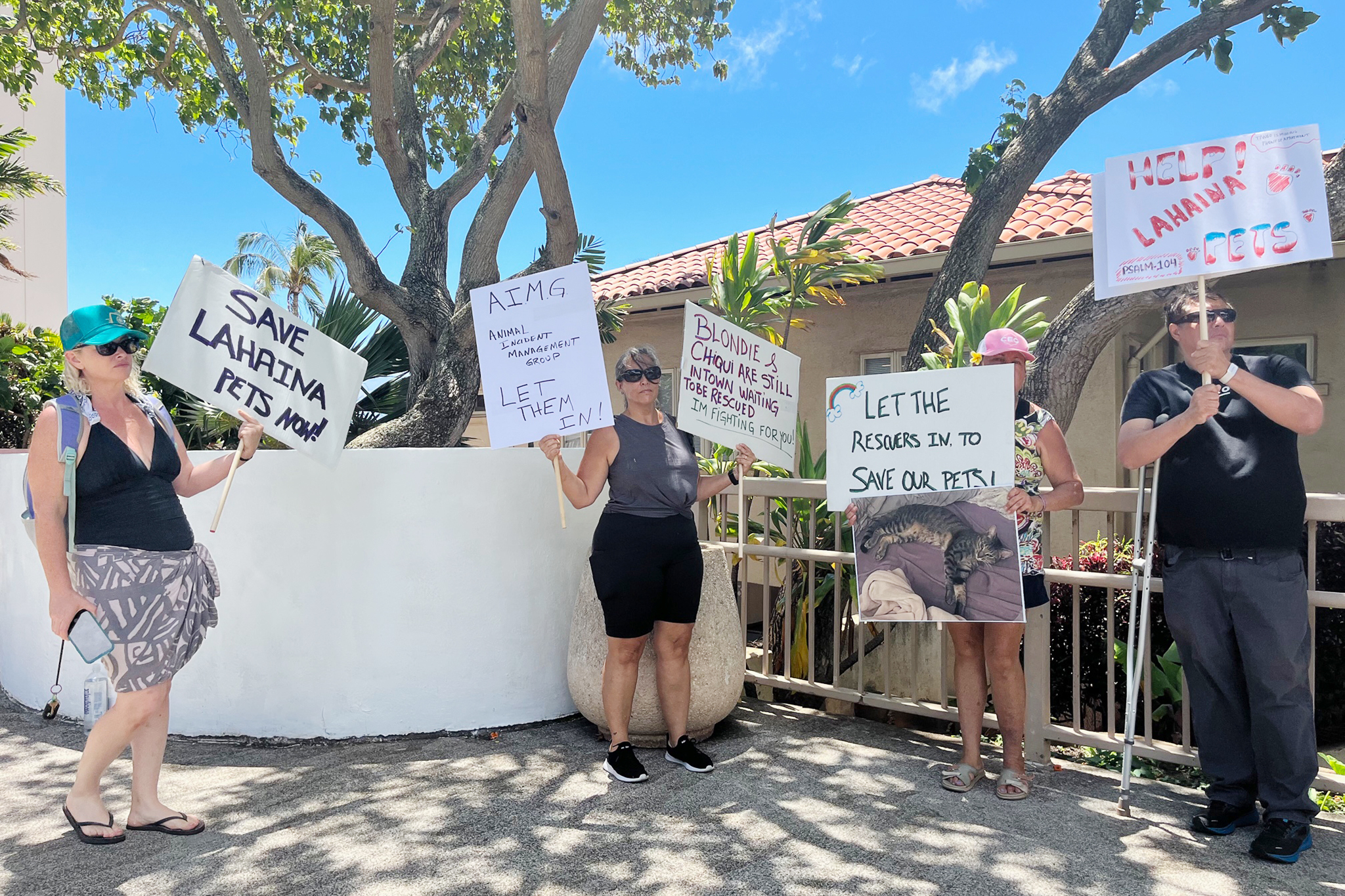 Hawaii residents of Maui's Lahaina want their pets rescued