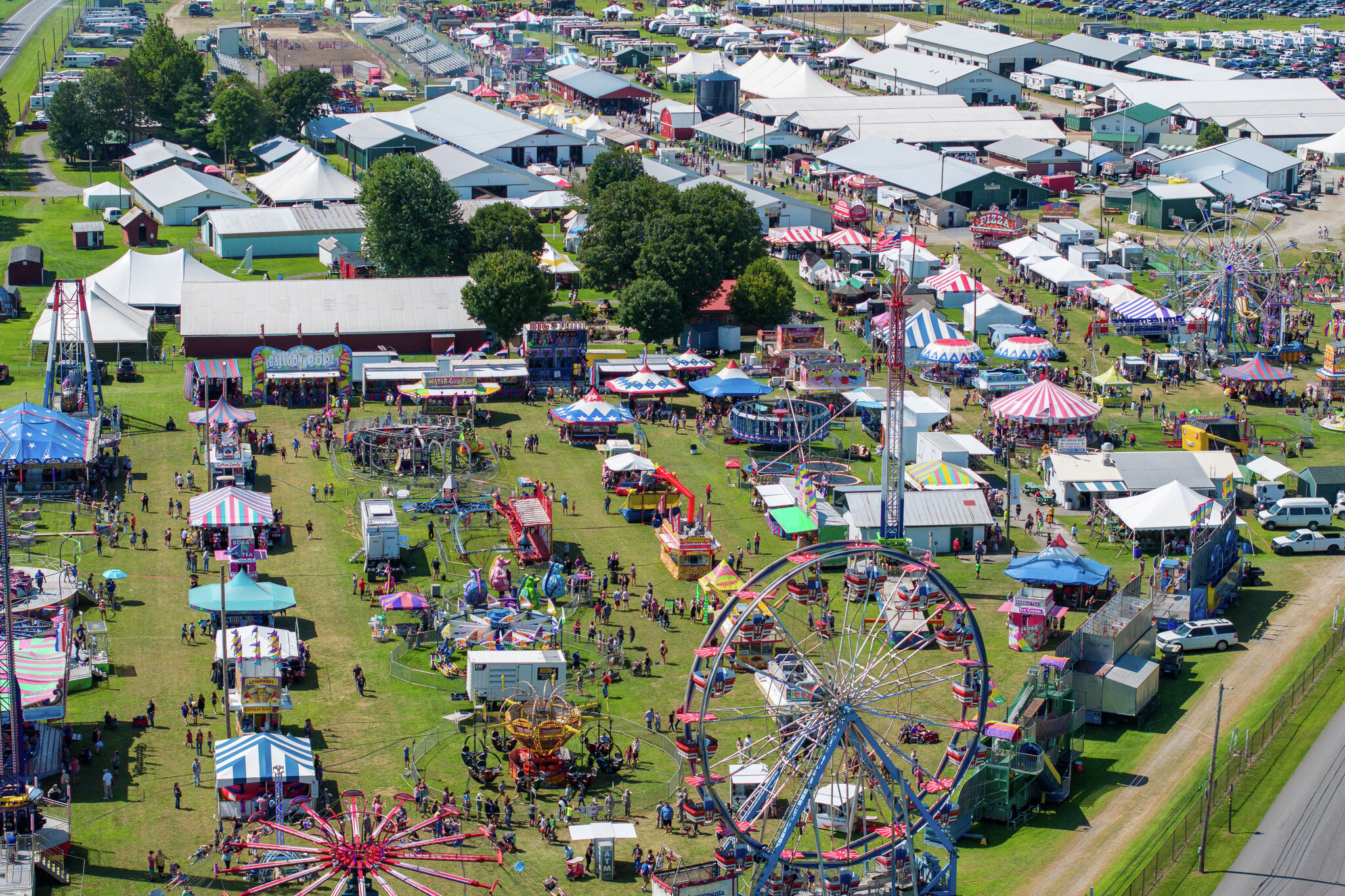 Photos: Animals on parade at Washington County Fair