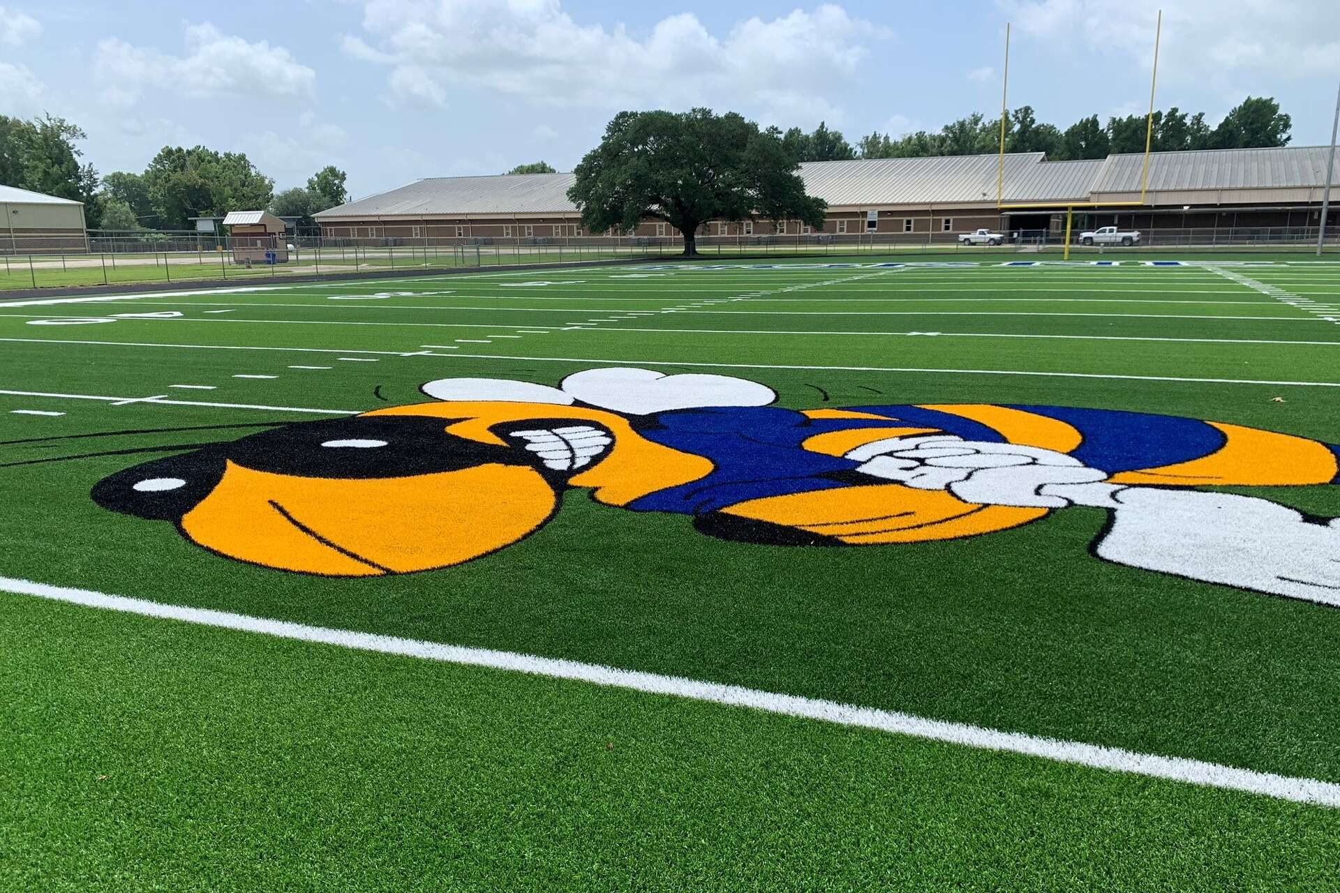 Meet the Hardin Hornets