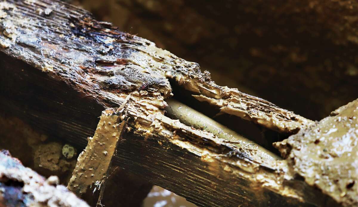 Rare wooden water line found during sewer project