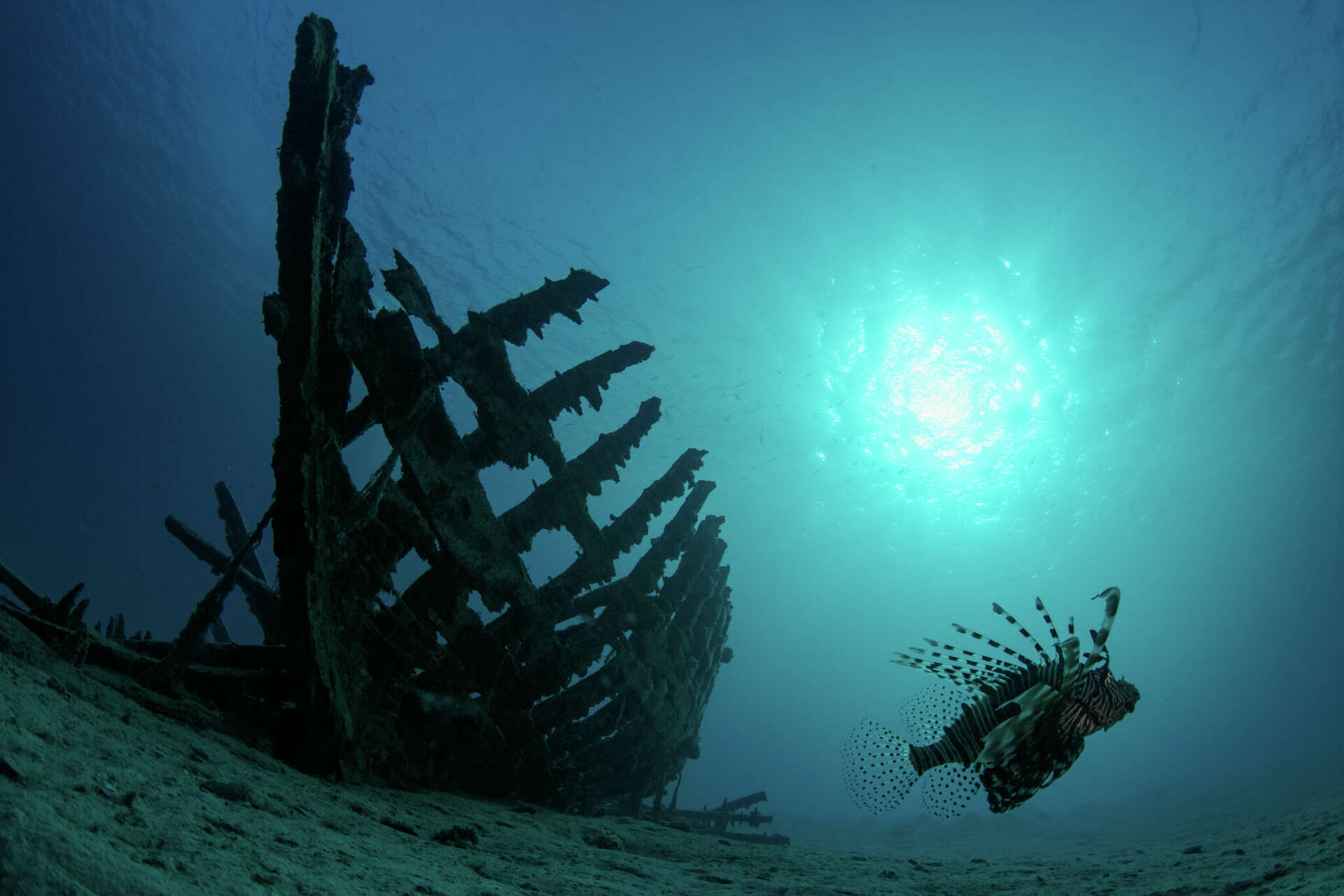WWI ship graveyard site revealed in SETX river amid dry, hot weather