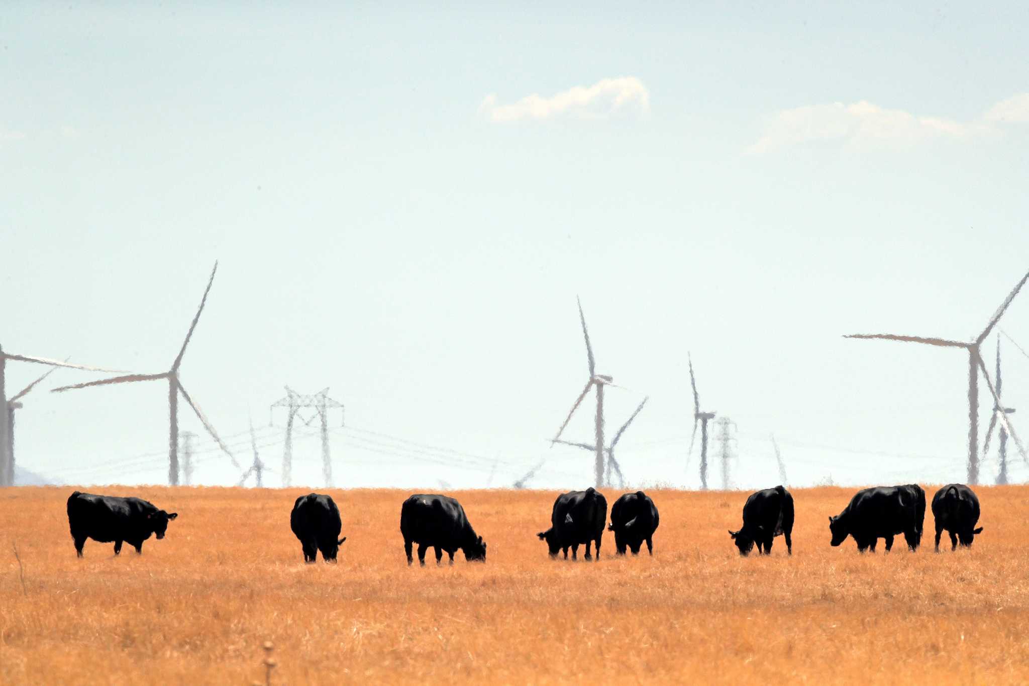 Mystery developer creates drama with $800 million Bay Area land grab