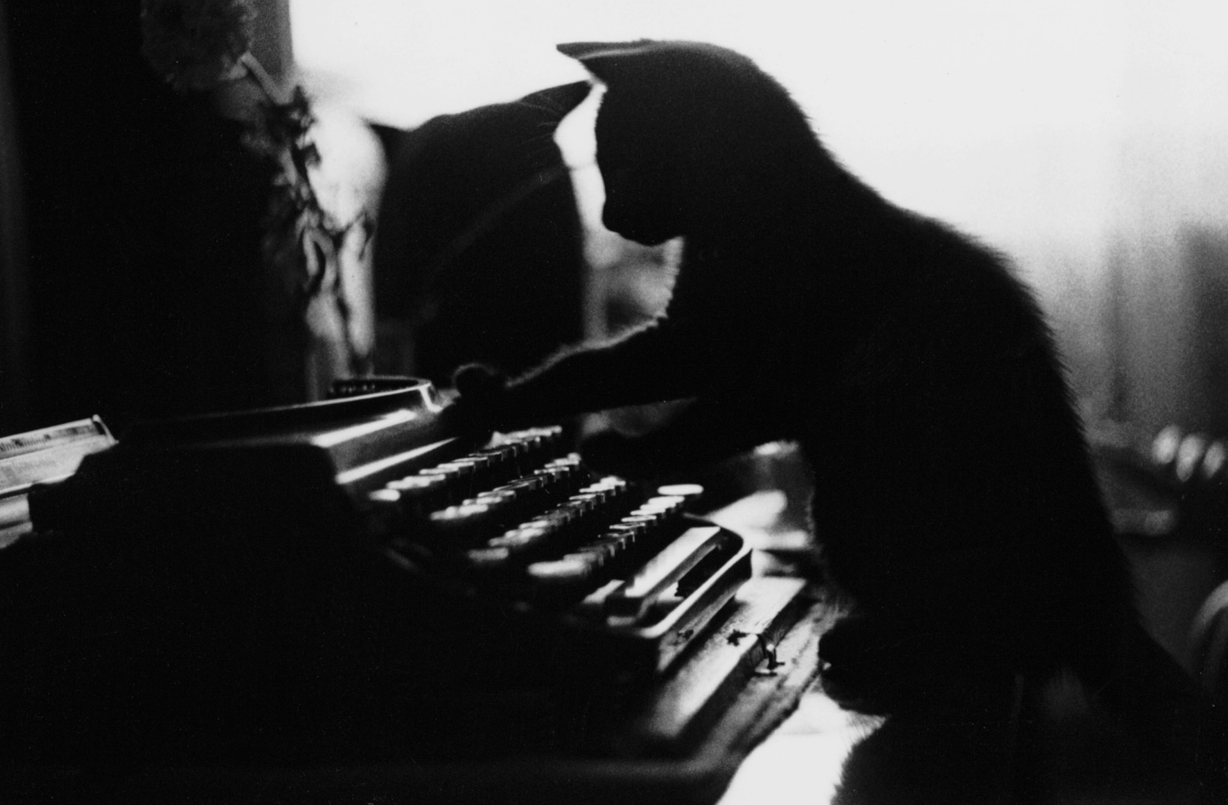 Leon Hale in 1982: Writing without punctuation marks or capitals