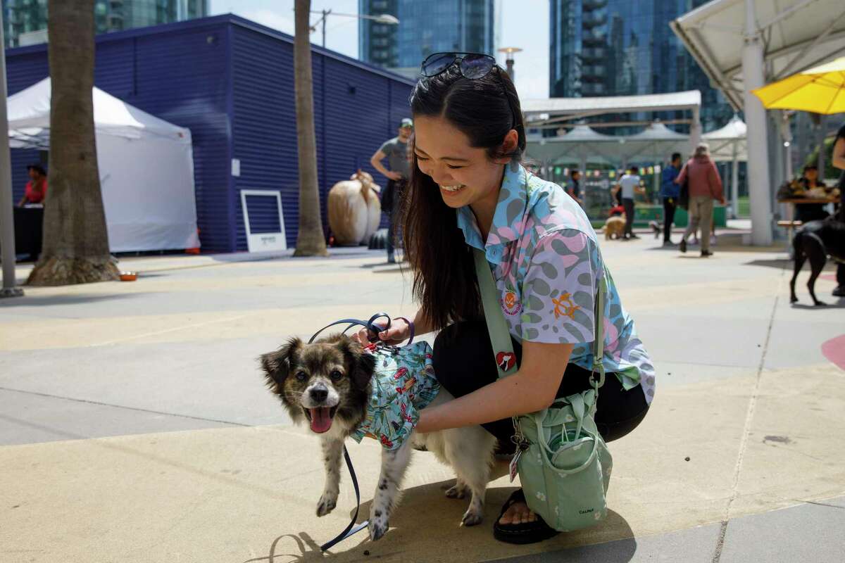 SF’s Dog Days of Summer kicks off with costume contest, brunch