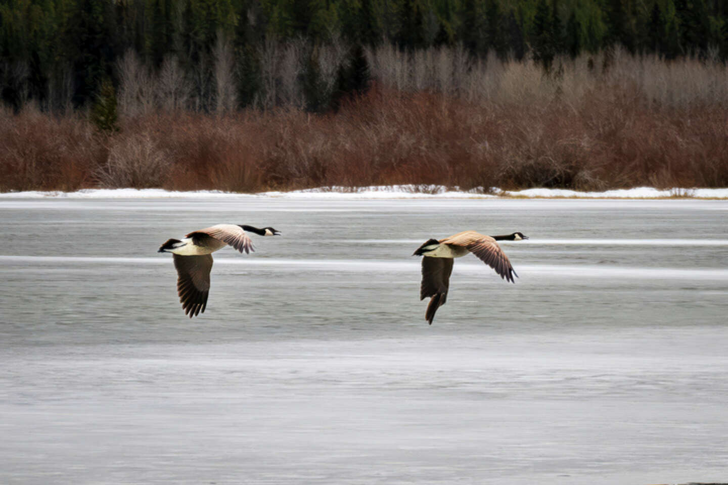 Cass County site one of several to host waterfowl blind drawing