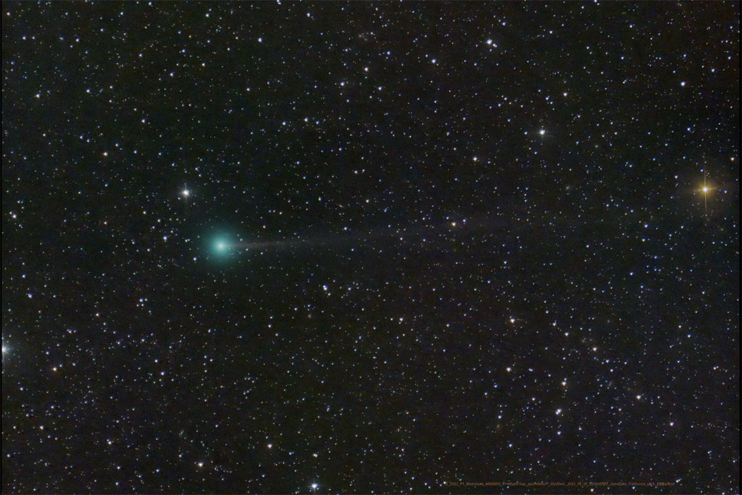 How to see newly discovered Comet Nishimura from Texas now