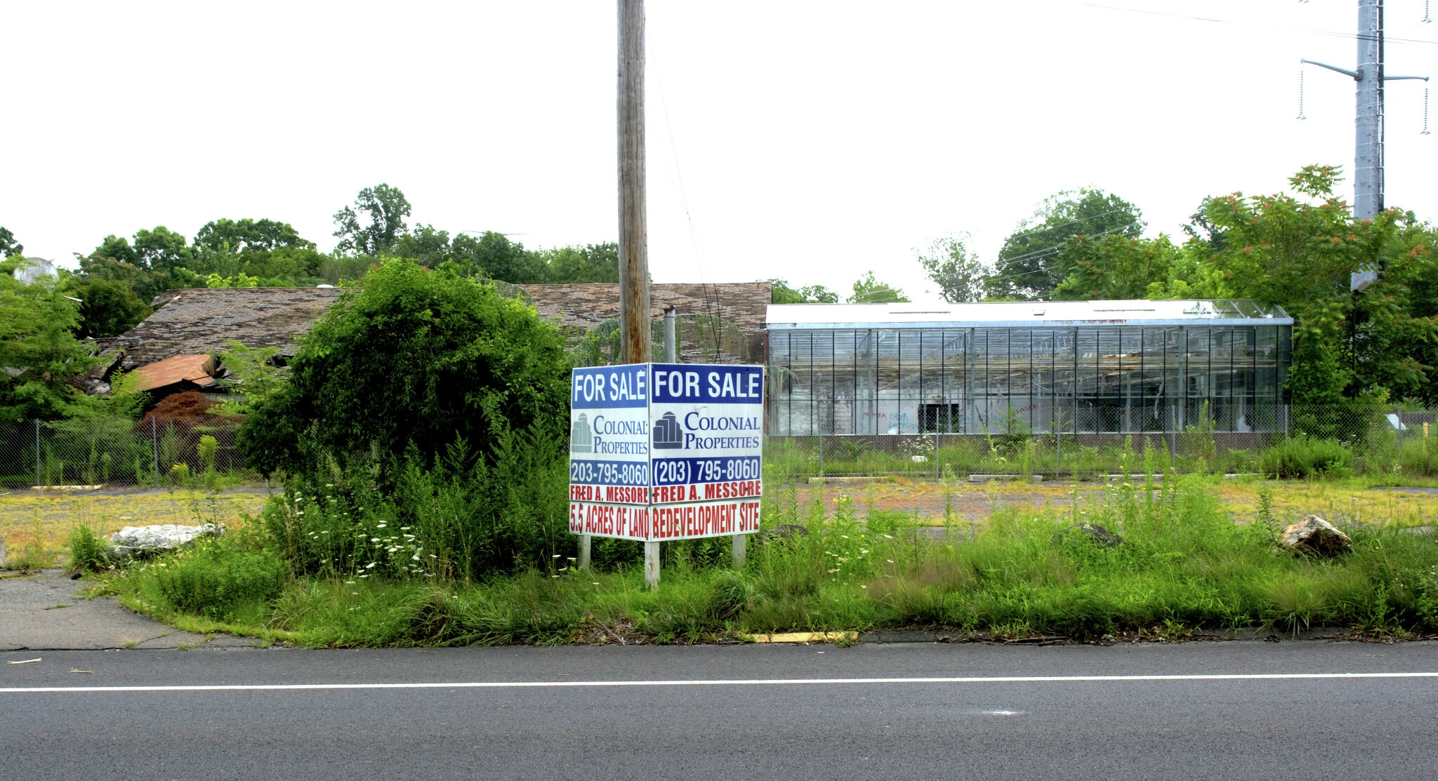 Woodbridge florist buys former Frank's, Barretta Gardens land