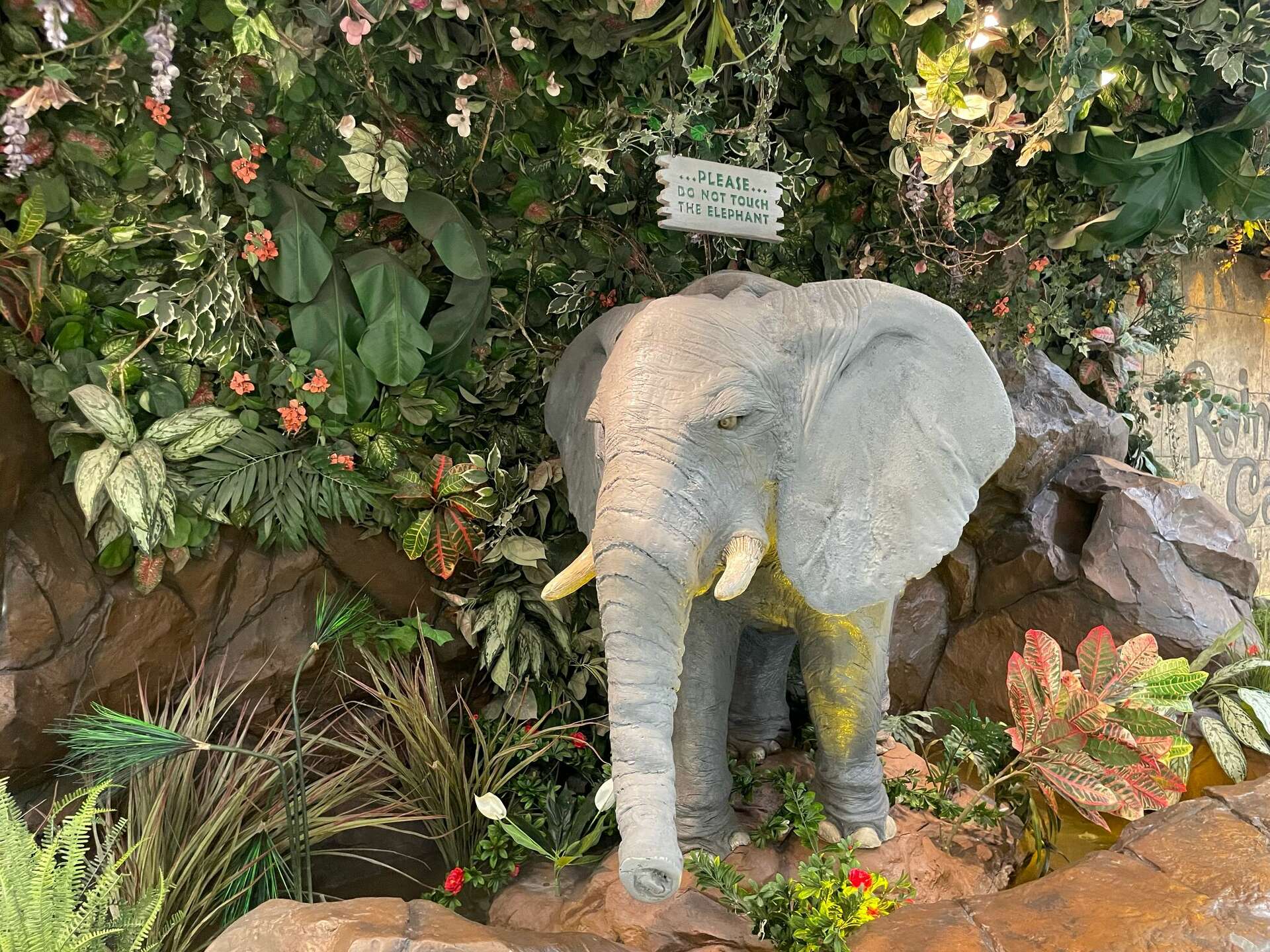 Rainforest Cafe in Katy Mills Mall plans massive $2.5M renovation