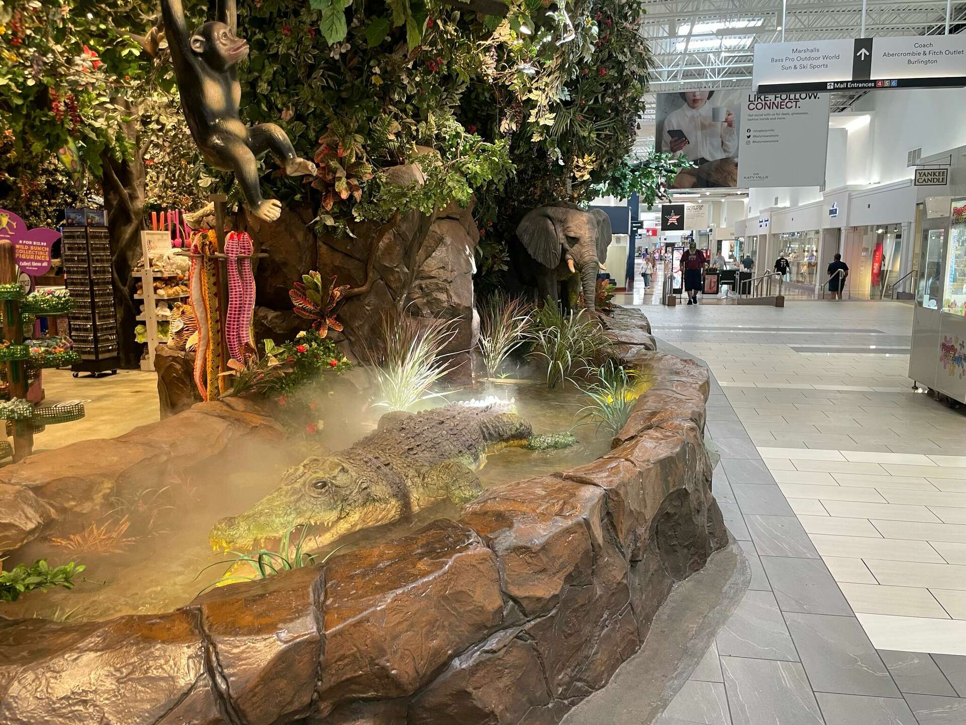 Rainforest Cafe in Katy Mills Mall plans massive $2.5M renovation