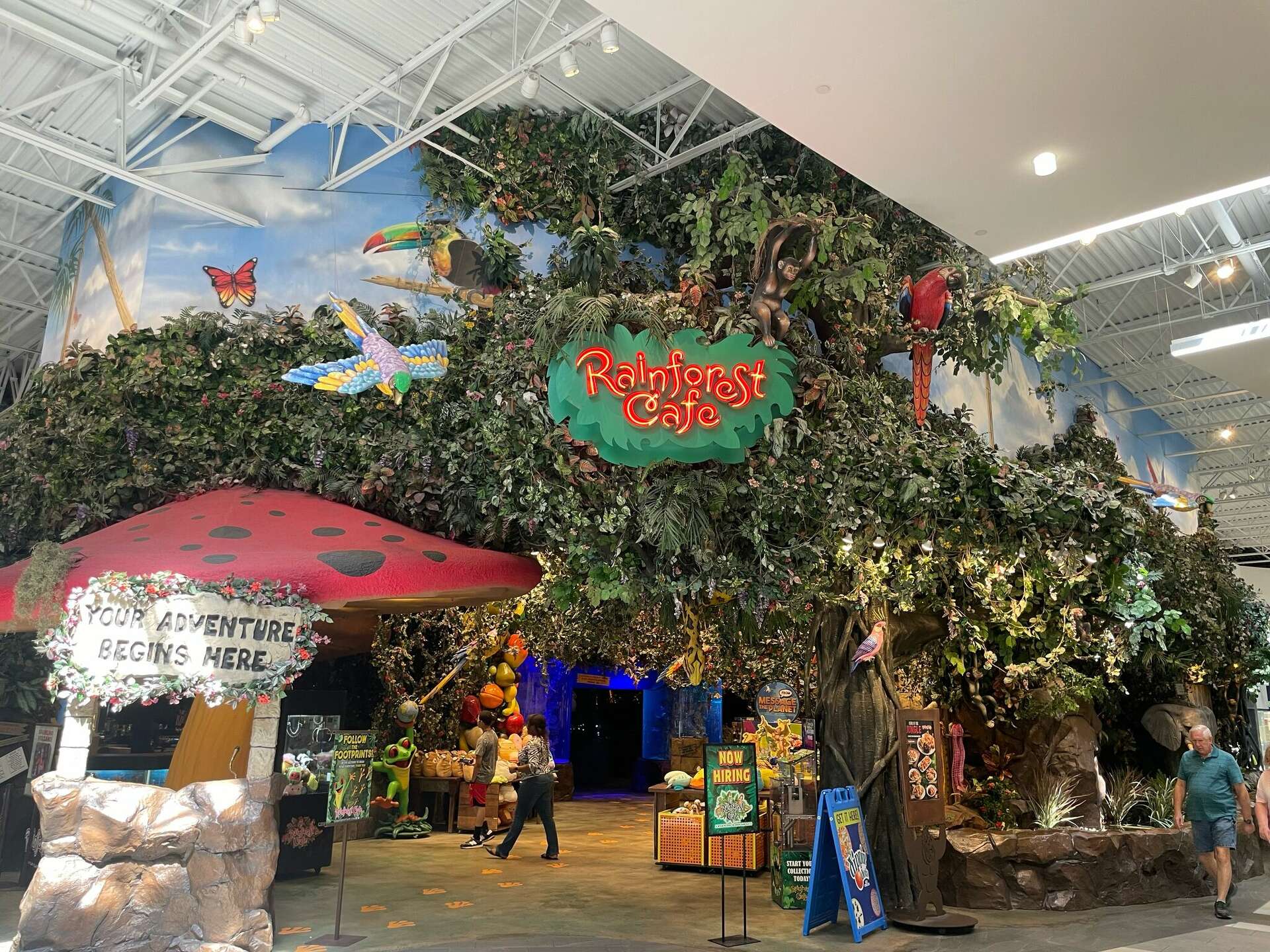 Rainforest Cafe in Katy Mills Mall plans massive $2.5M renovation