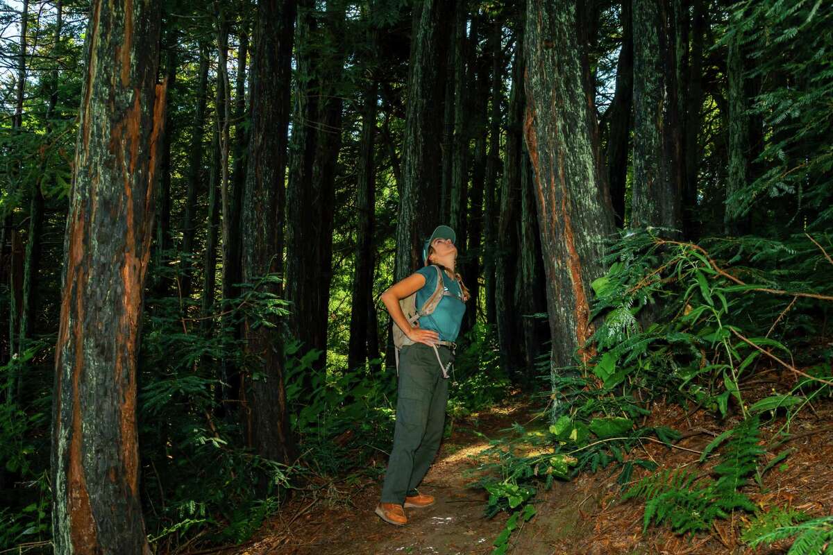 The public can’t visit a new California national monument. Here’s why