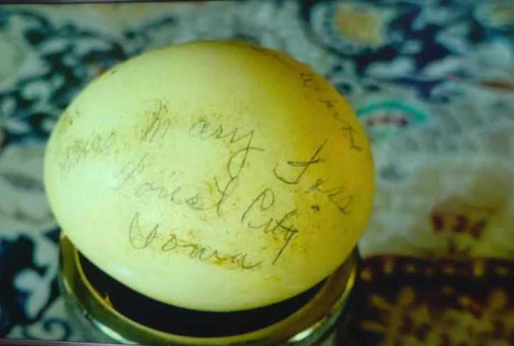WATCH: Woman who autographed an egg 72 years ago reunited with it ...