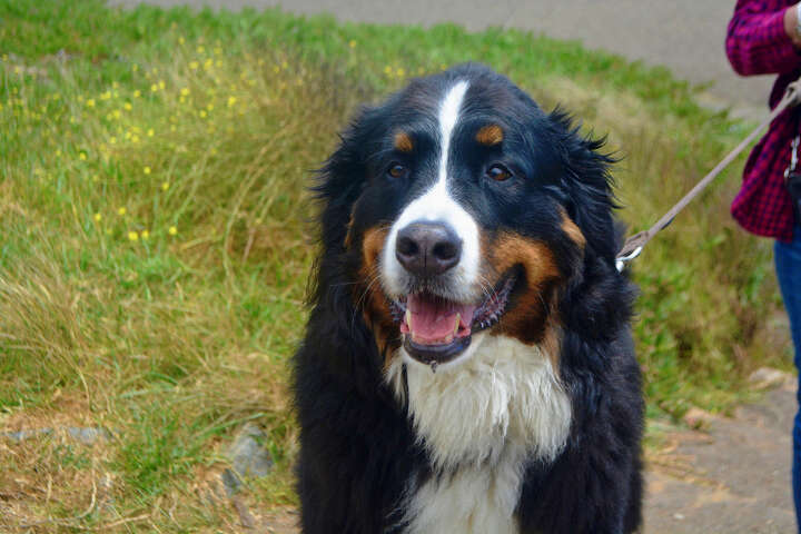 A visitor's guide to the Marin Headlands