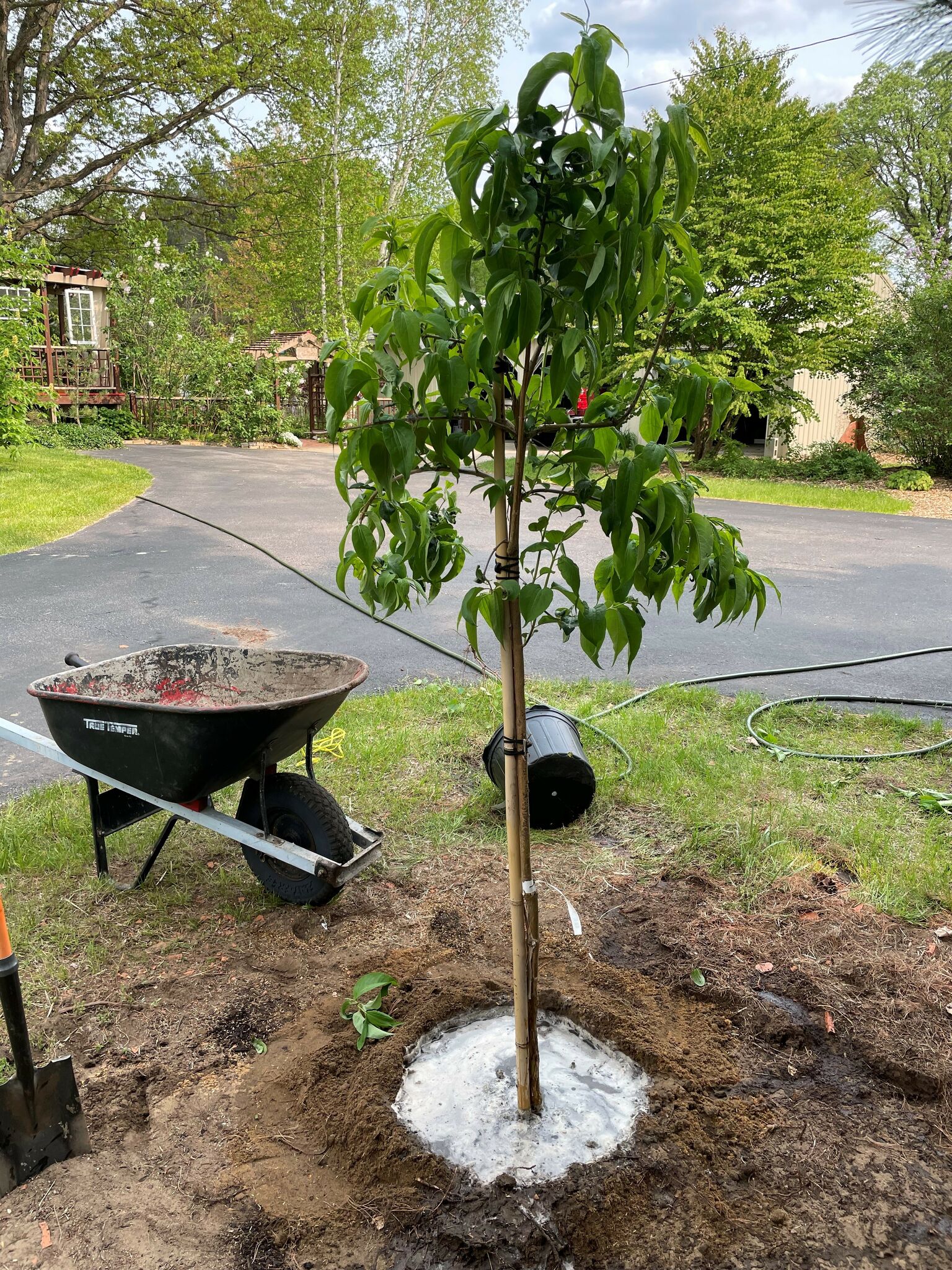 Former horticulturist Chuck Martin explains the pros of fall planting