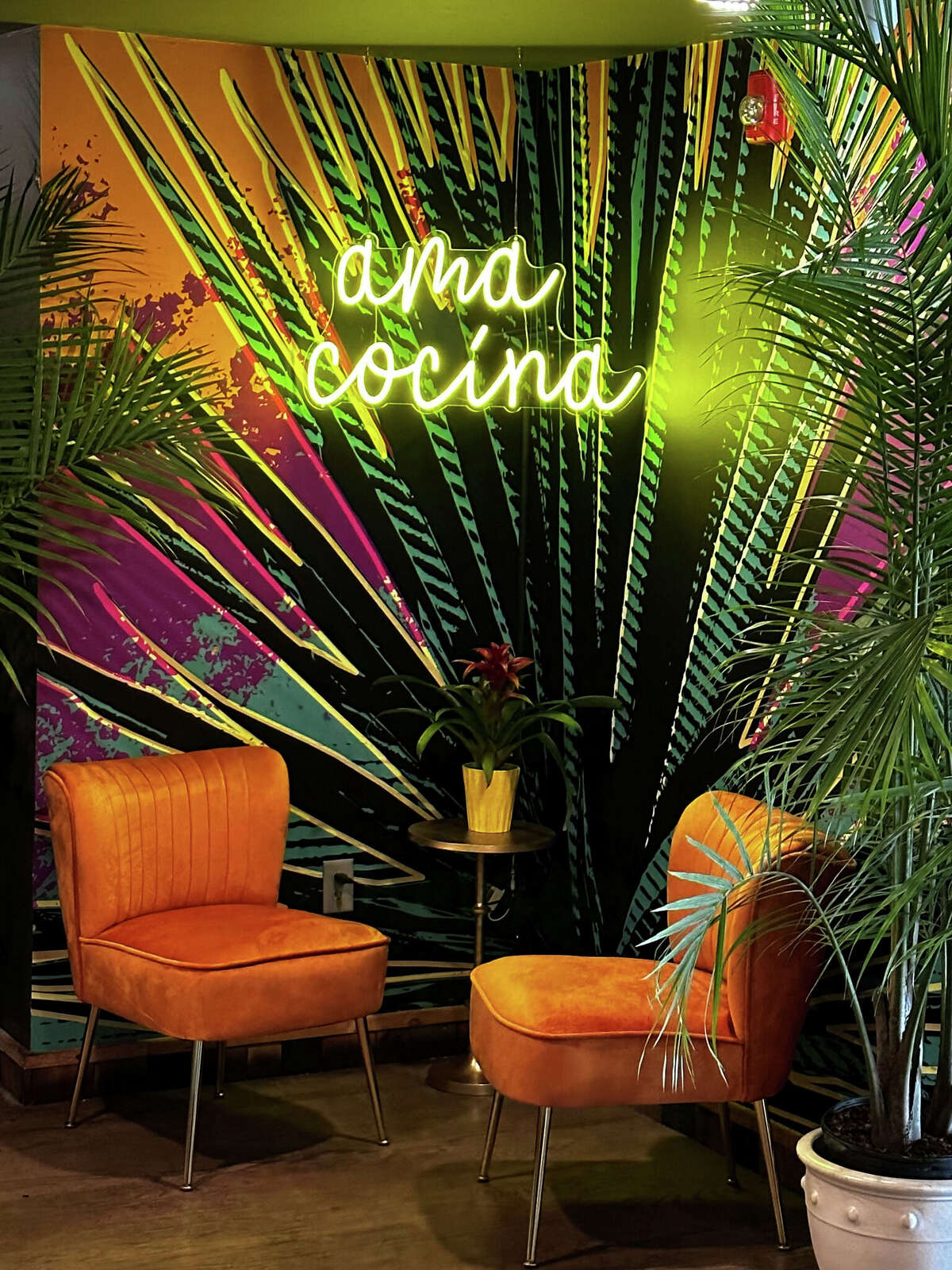 Long dormant, Ama Cocina reopens in Albany