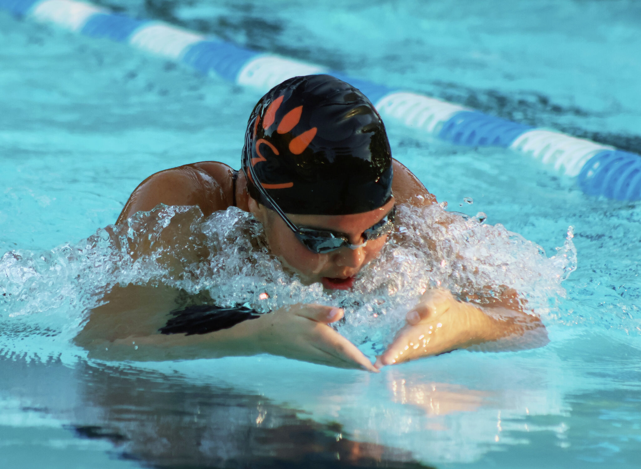 Tigers swim past Panthers on Senior Night