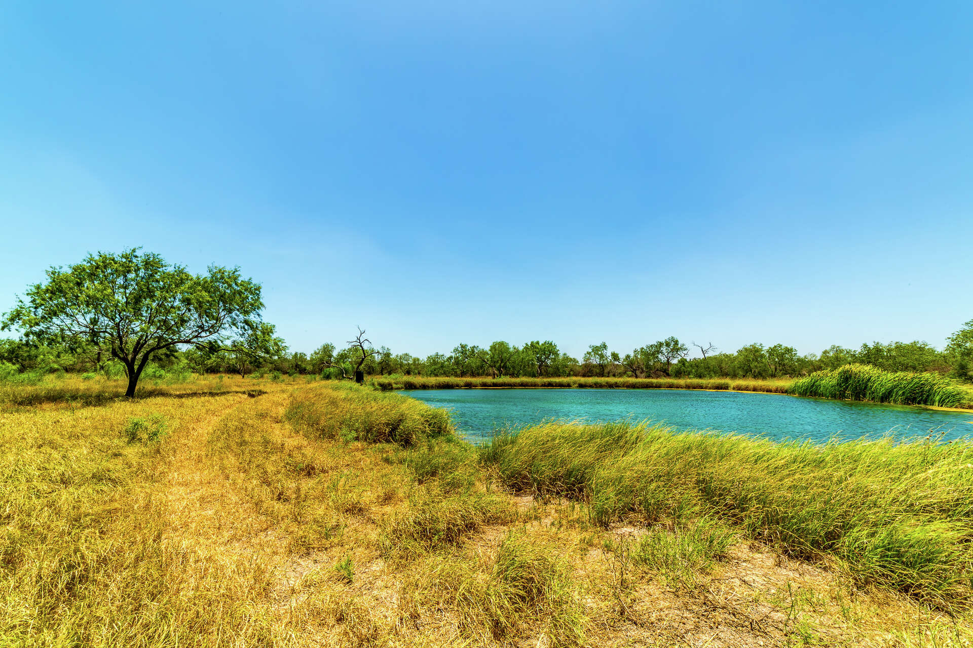 Texas ranch on the market for first time in 143 years