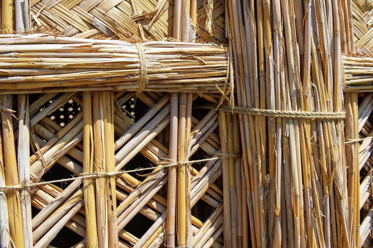 Mudhif built on Houston's Rice campus tells story of Marsh Arabs