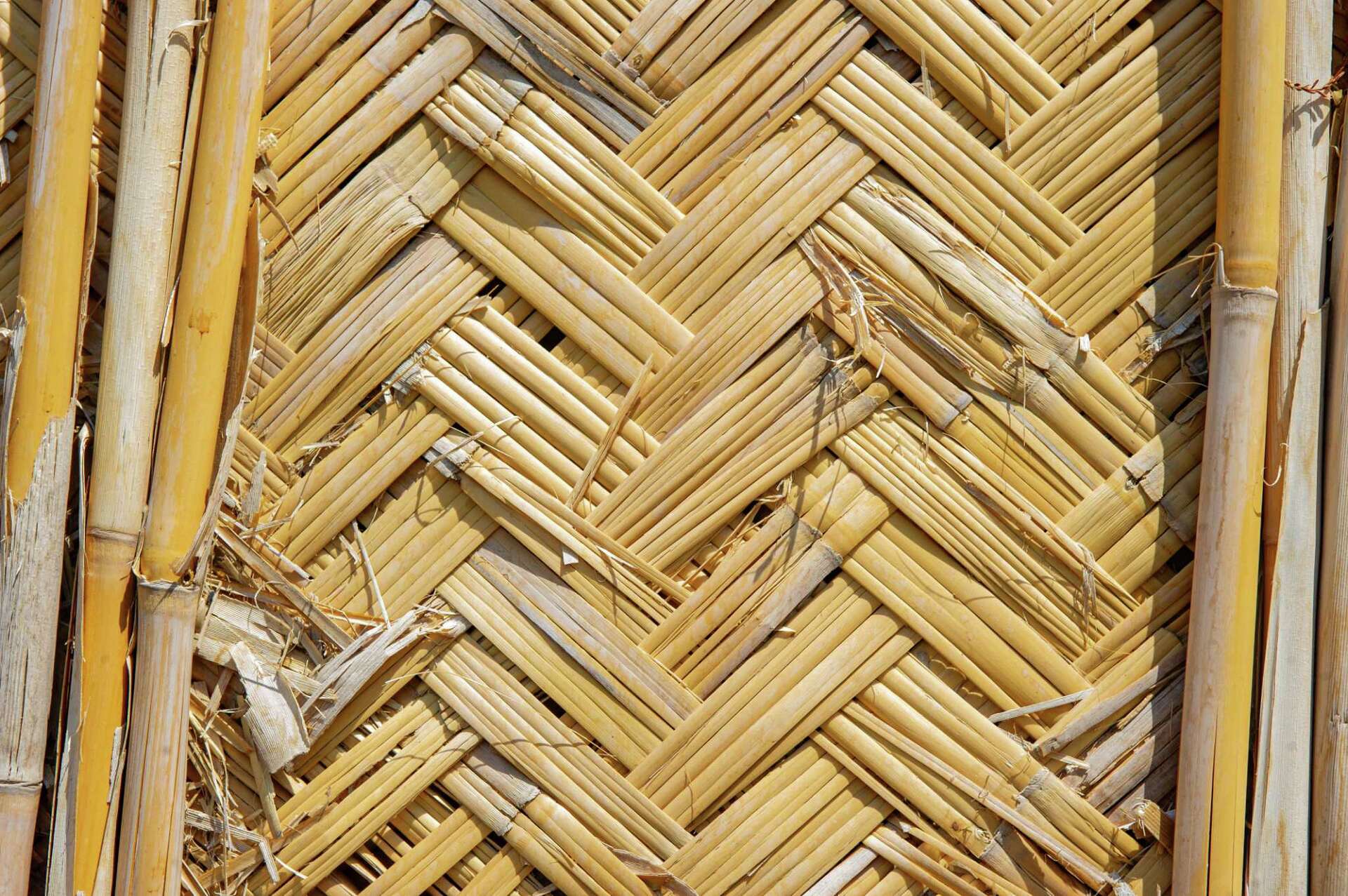 Mudhif built on Houston's Rice campus tells story of Marsh Arabs