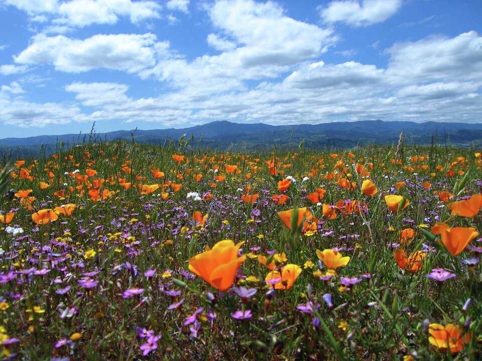 Bay Area hikers: Nature park features 5 miles of new trails