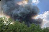 Can trees explode in cold weather? Texas A&M expert weighs in.