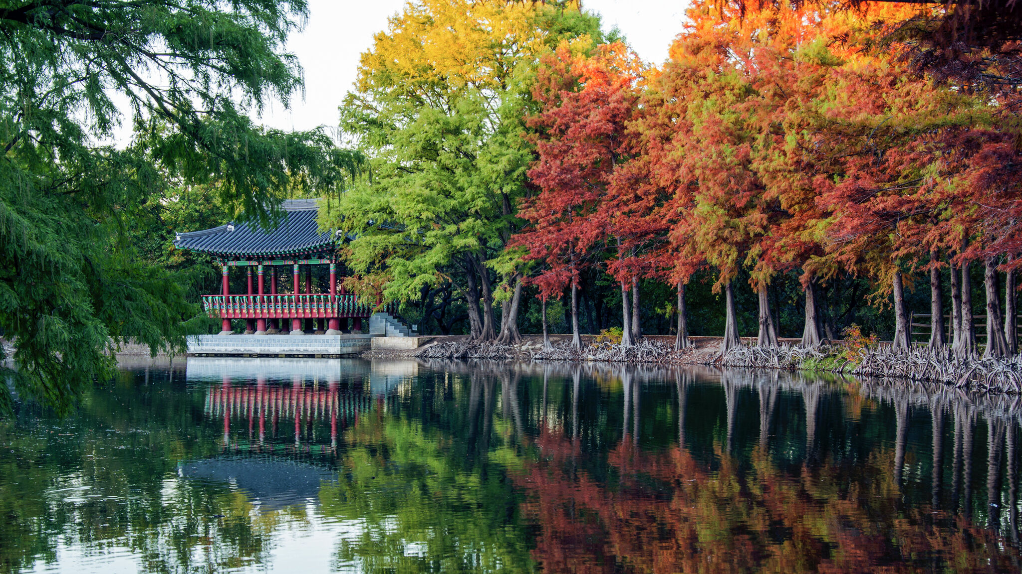 Fall begins in Texas amid record-breaking temperatures