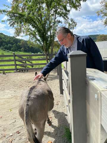 How Sardinian donkeys ended up at Magazzino Italian Art