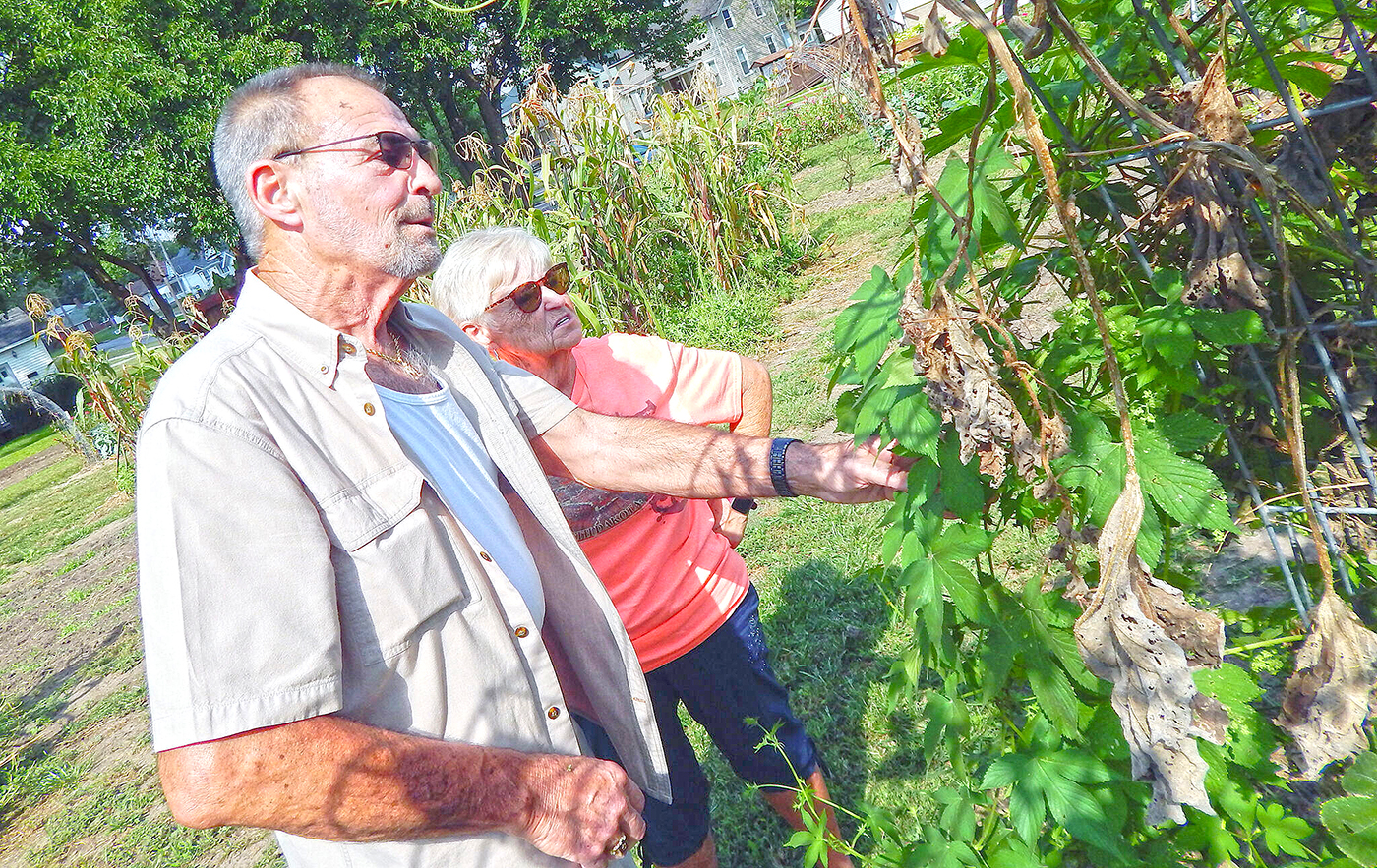 Auxiliary's Kids' Day, education programs return to Morgan County Fair