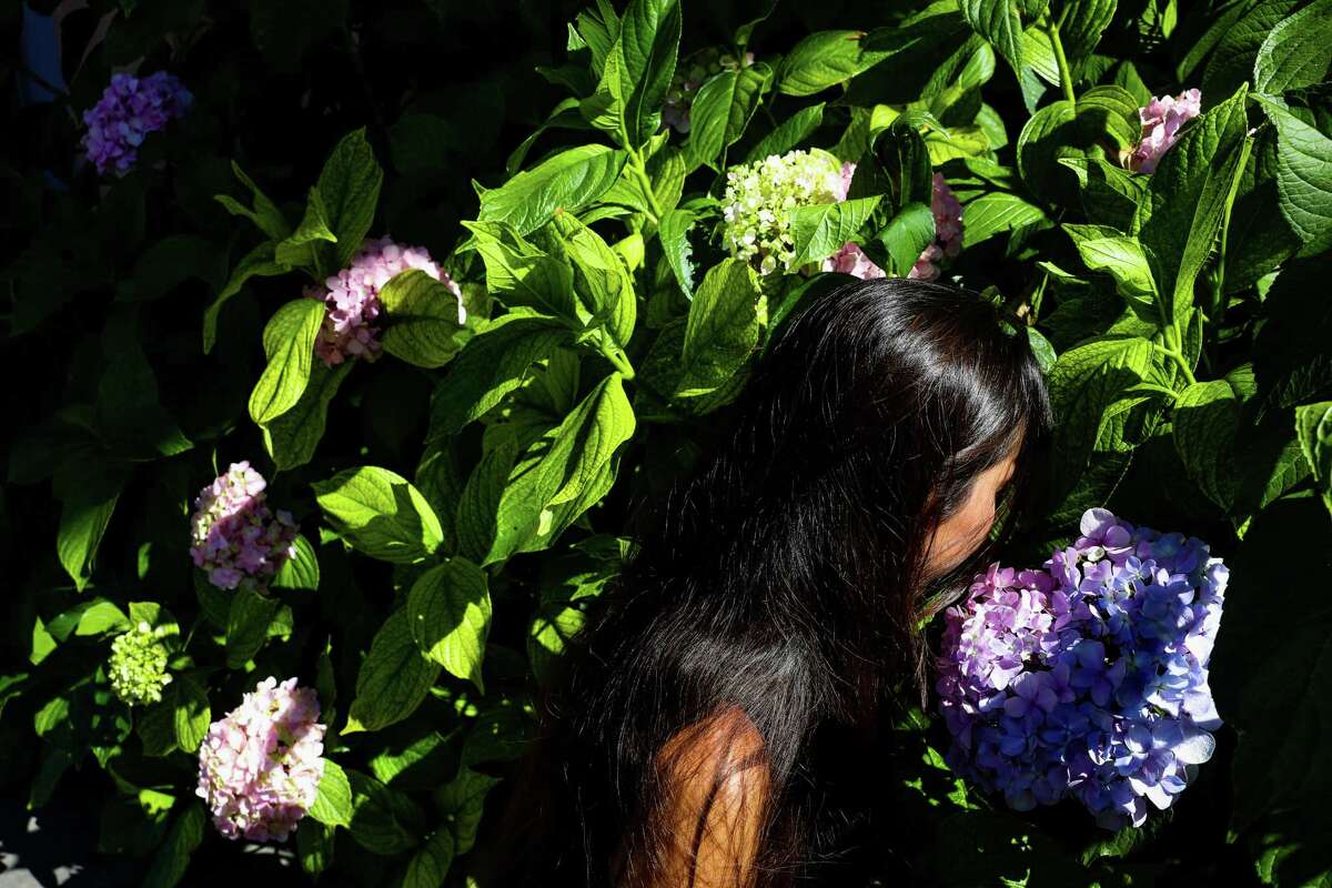 Bay Area schools face historic wave of sexual abuse lawsuits