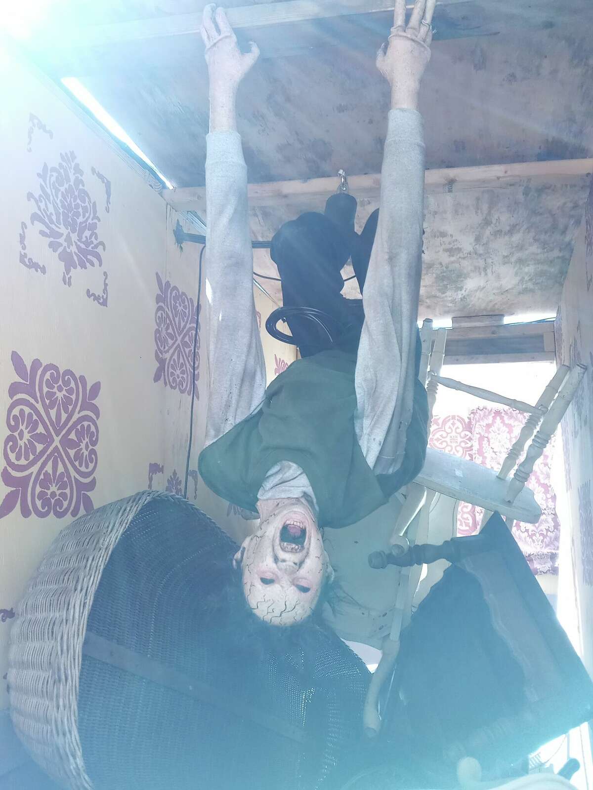 Goshen wildlife park to host expanded Forsaken Lands horror trail