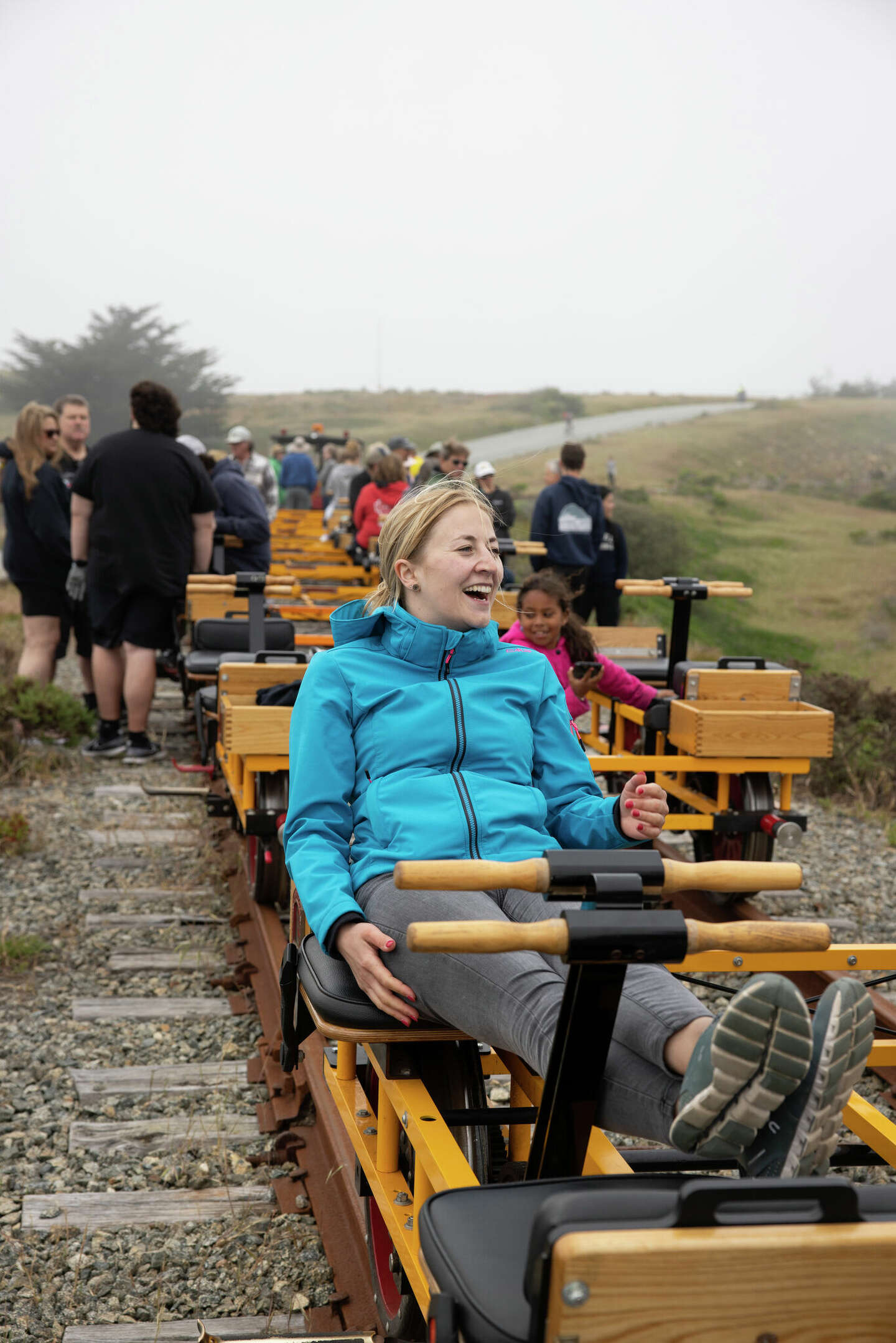 Explore coastal habitats with eco-friendly tours in Monterey