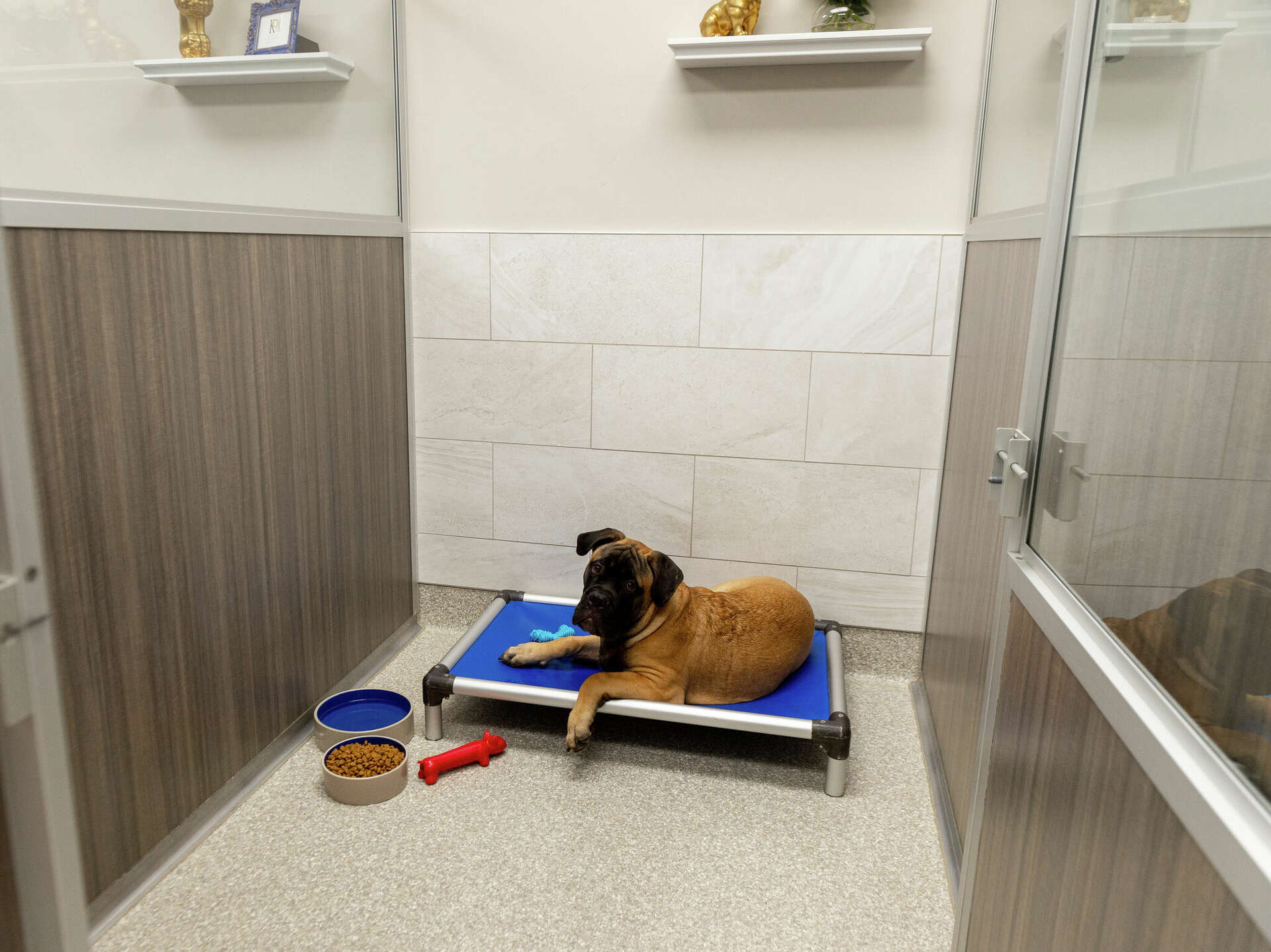 Katy dog daycare, upscale boarding kennel K9 Luxury Resorts to open