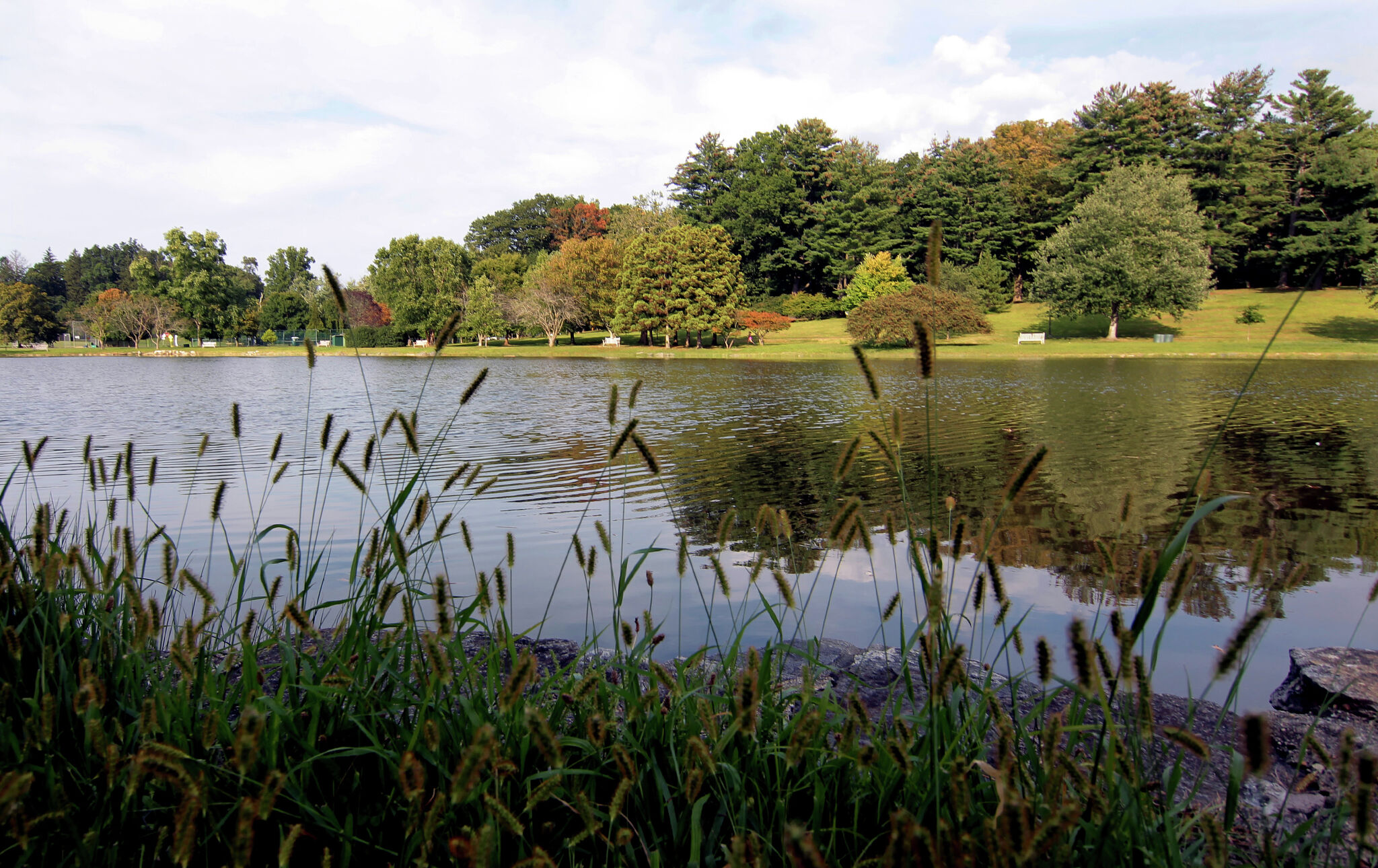 Greenwich's Bruce Park ranks in USA Today's 'best city park' list