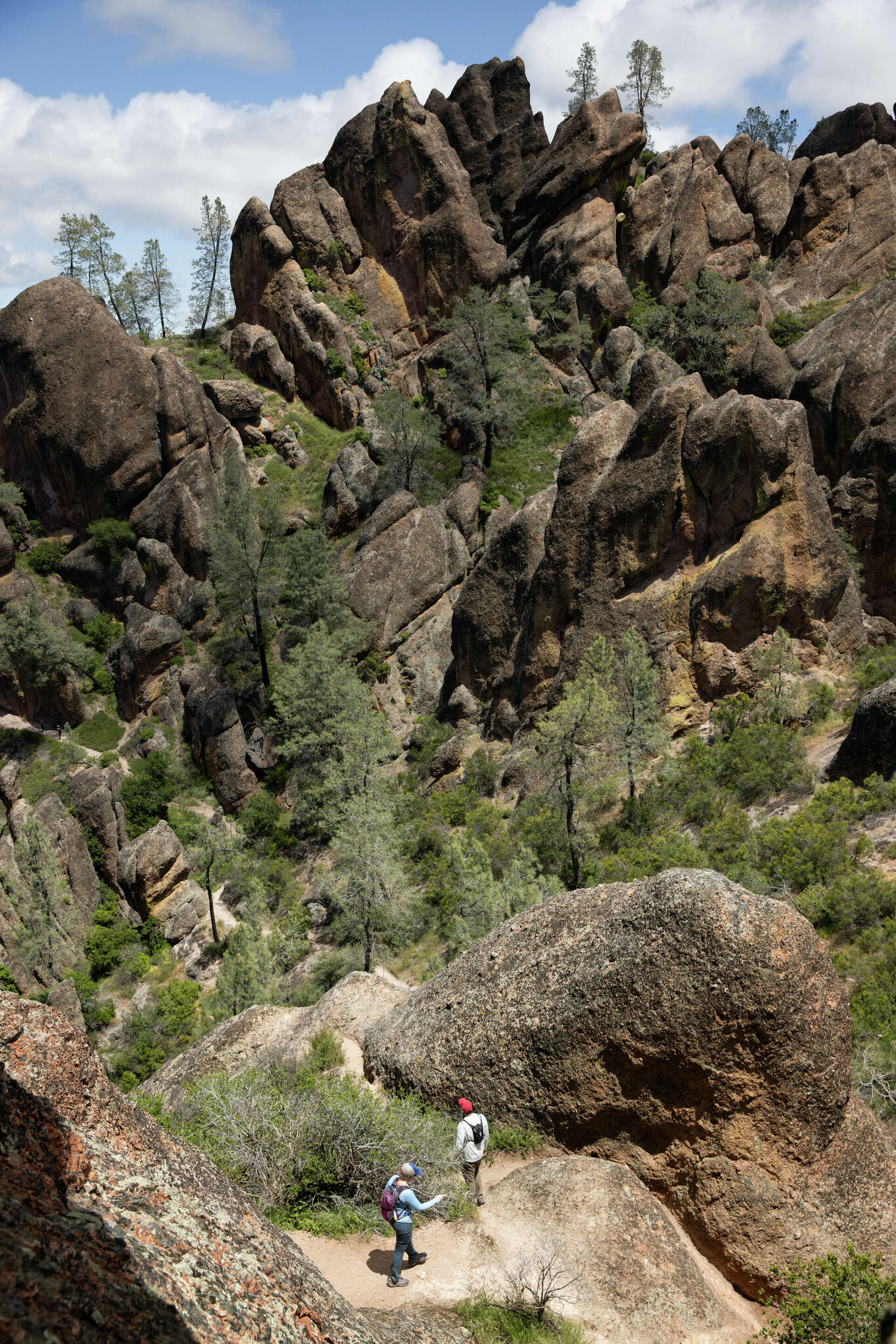 Traverse staggering monoliths, crags at Pinnacles