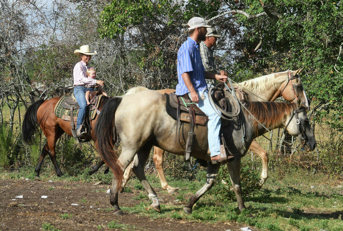 Hamshire female rancher vies for the herd on Ultimate Cowboy Showdown