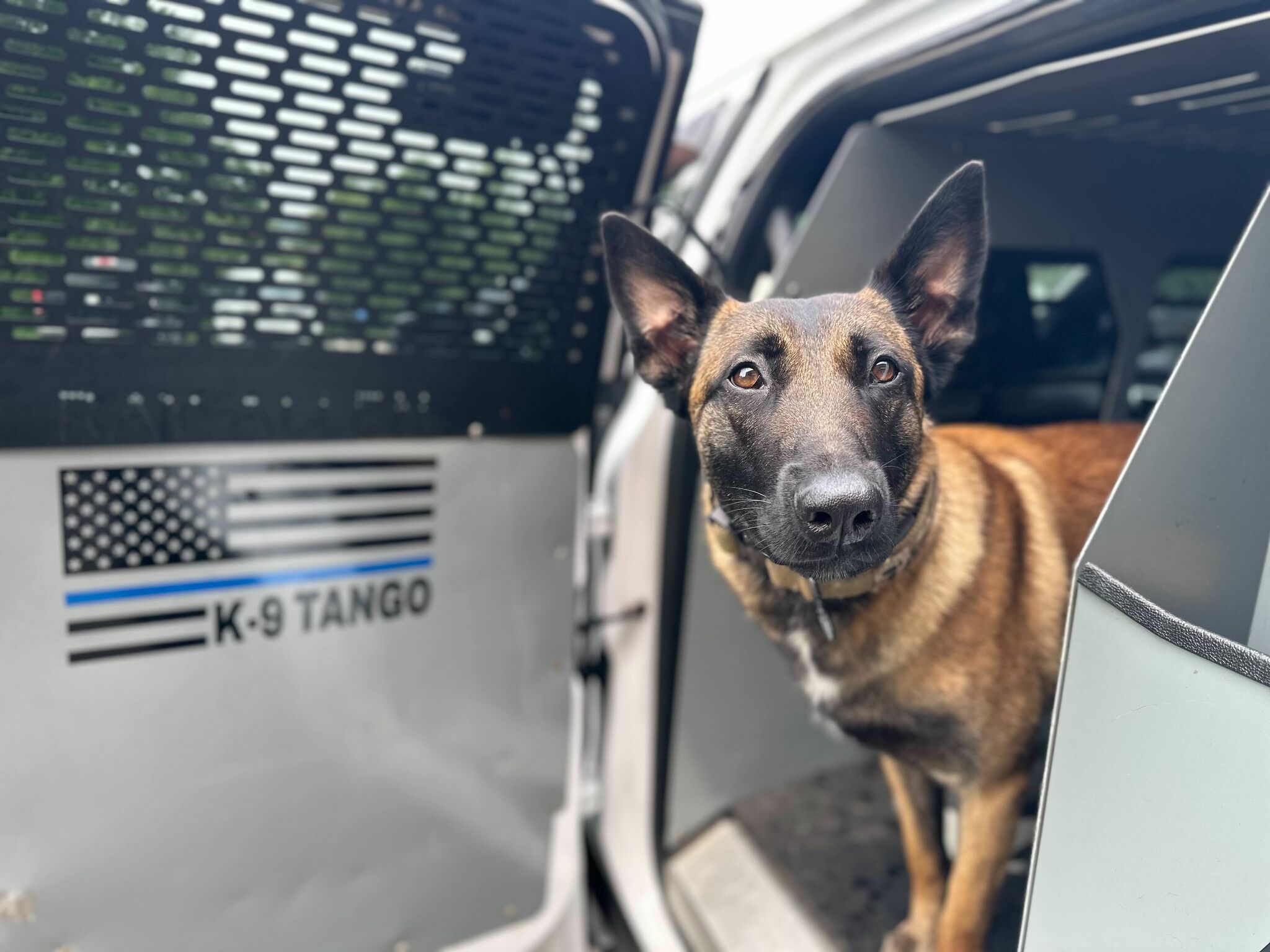Brookfield Police Department welcomes K-9 Tango to the force