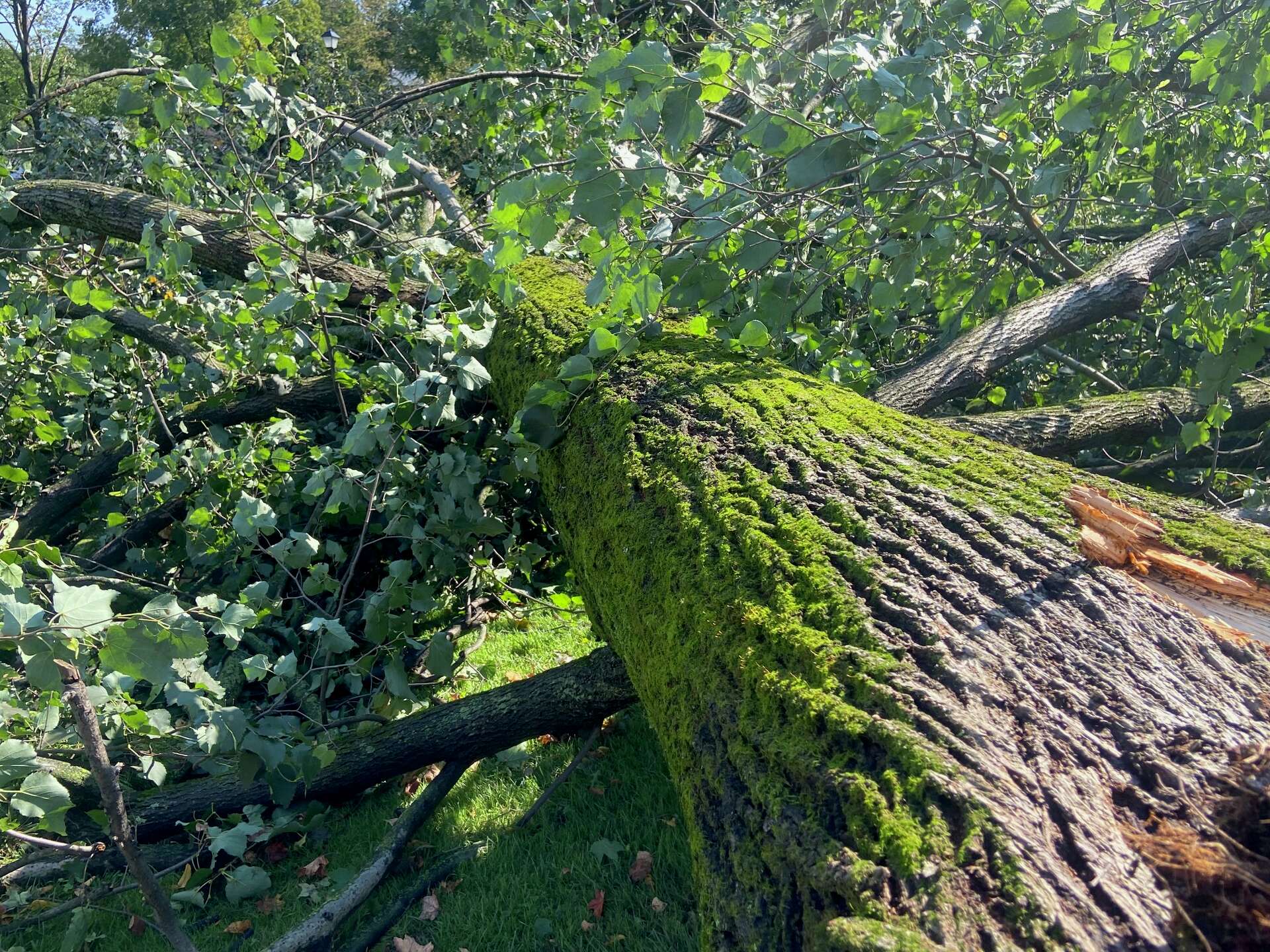 Storm smashes village; outages hit Columbia, Dutchess, Ulster counties