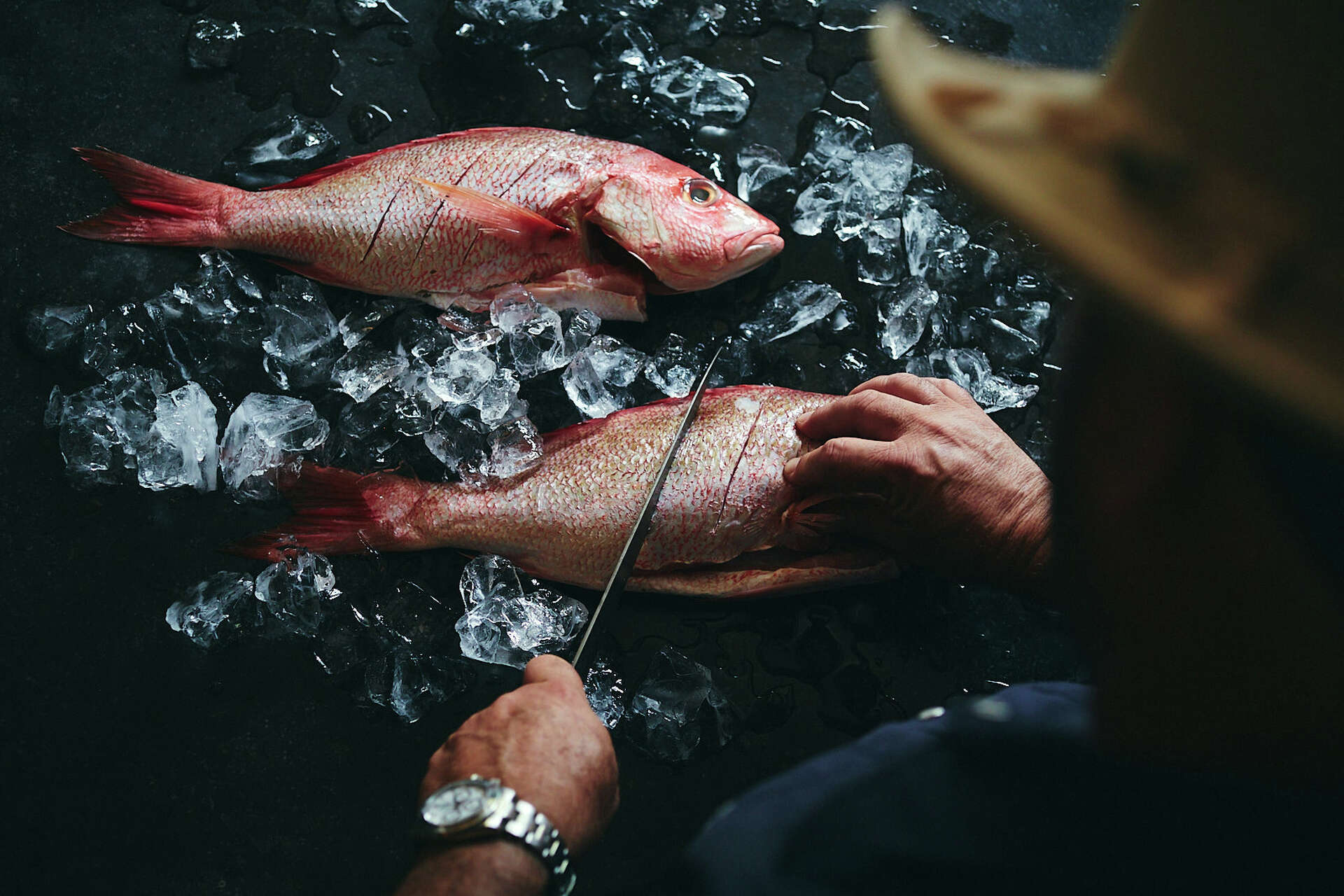 Levi Goode launches his own lifestyle brand with two new restaurants