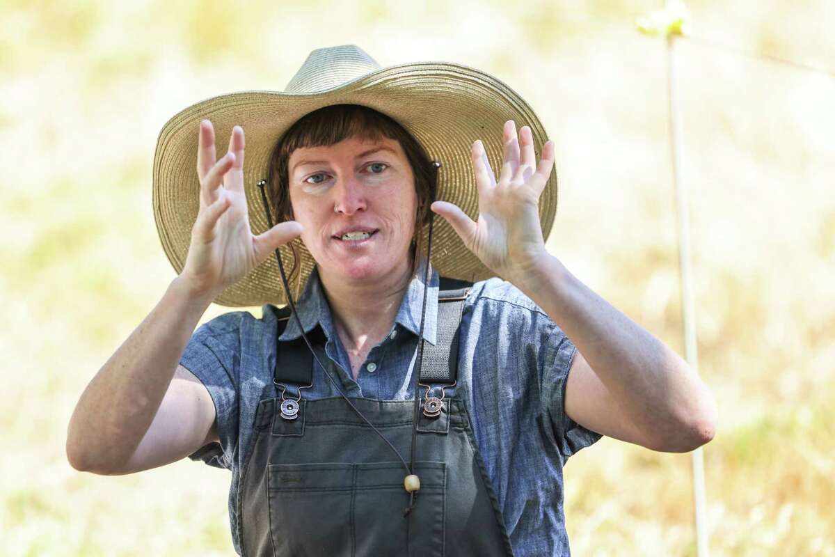 Why Silicon Valley types are spending time at a Sonoma County farm