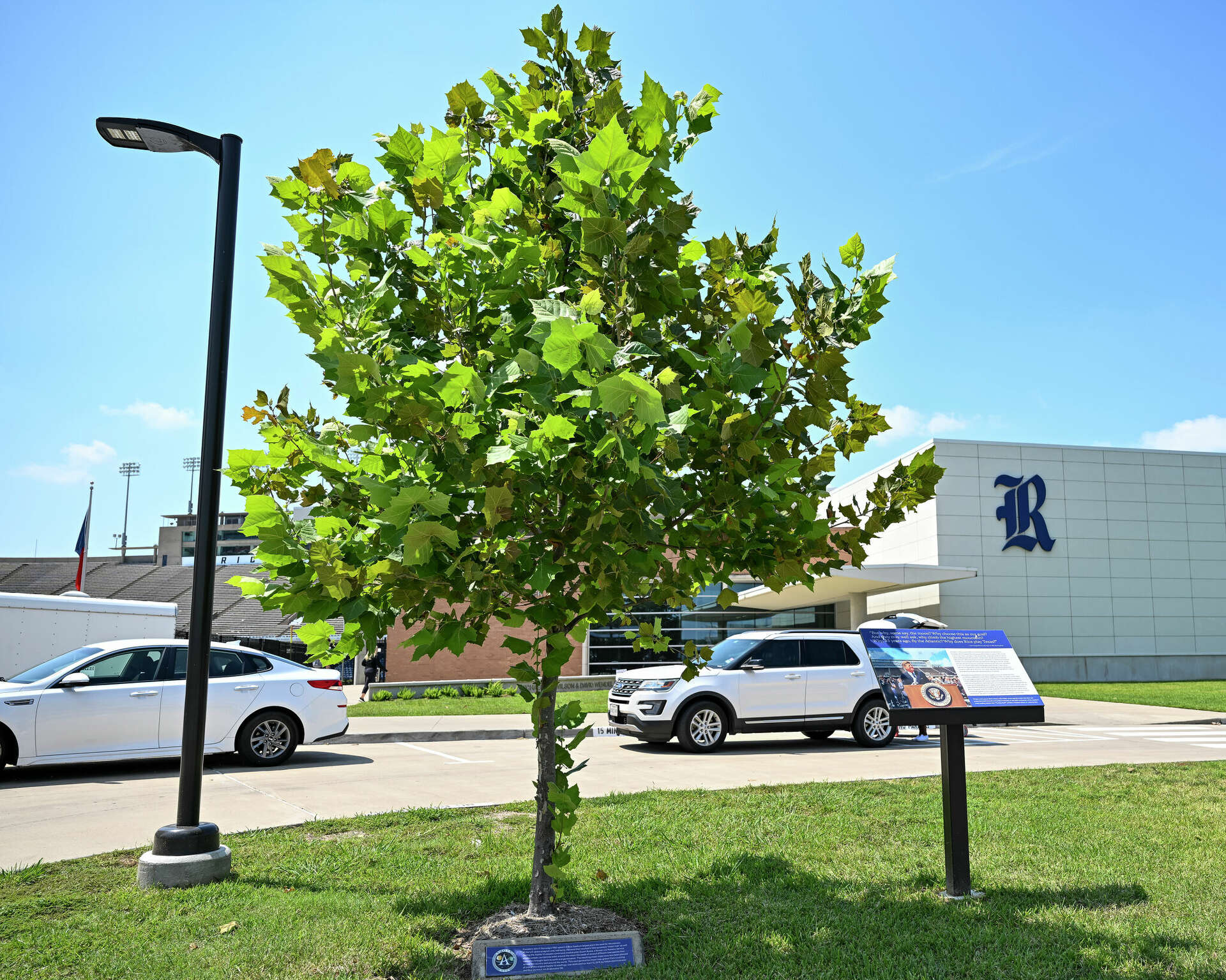 Moon trees: NASA flew seeds to space and wants to plant them on Earth