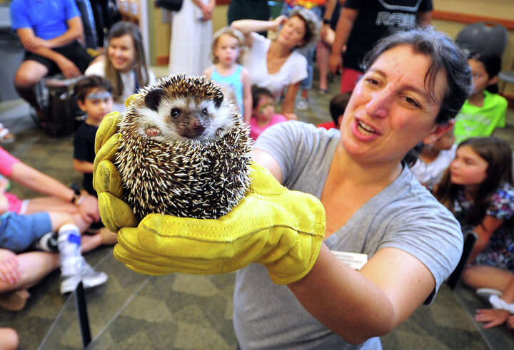 Photos: Friends of the Cos Cob Library open house in Greenwich