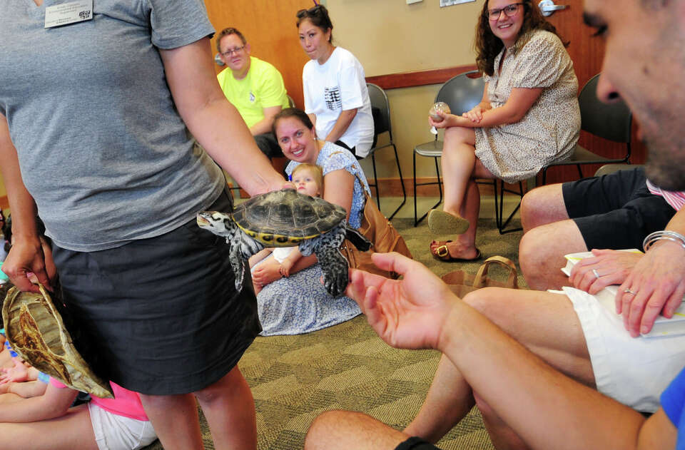 Photos: Friends of the Cos Cob Library open house in Greenwich