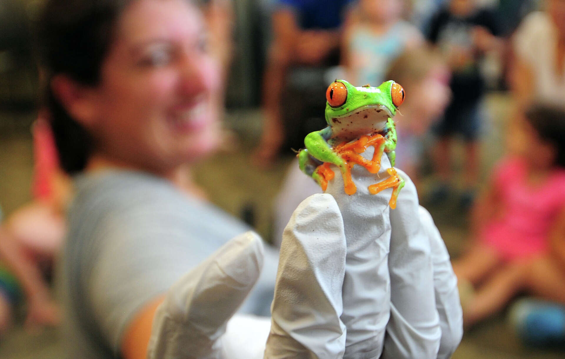 Photos: Friends of the Cos Cob Library open house in Greenwich