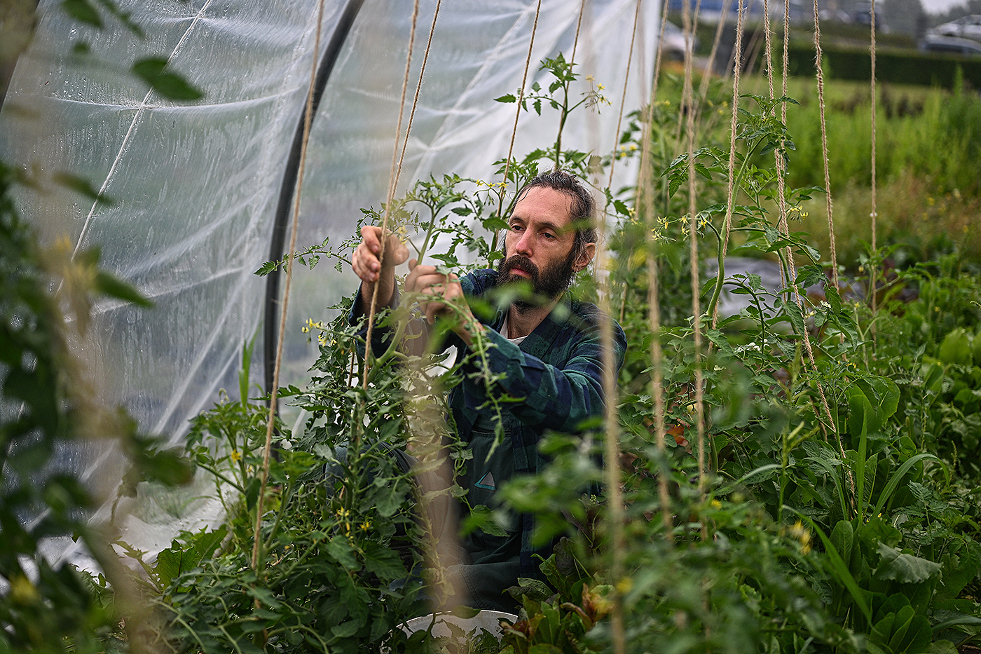 Green farming is growing, and growing